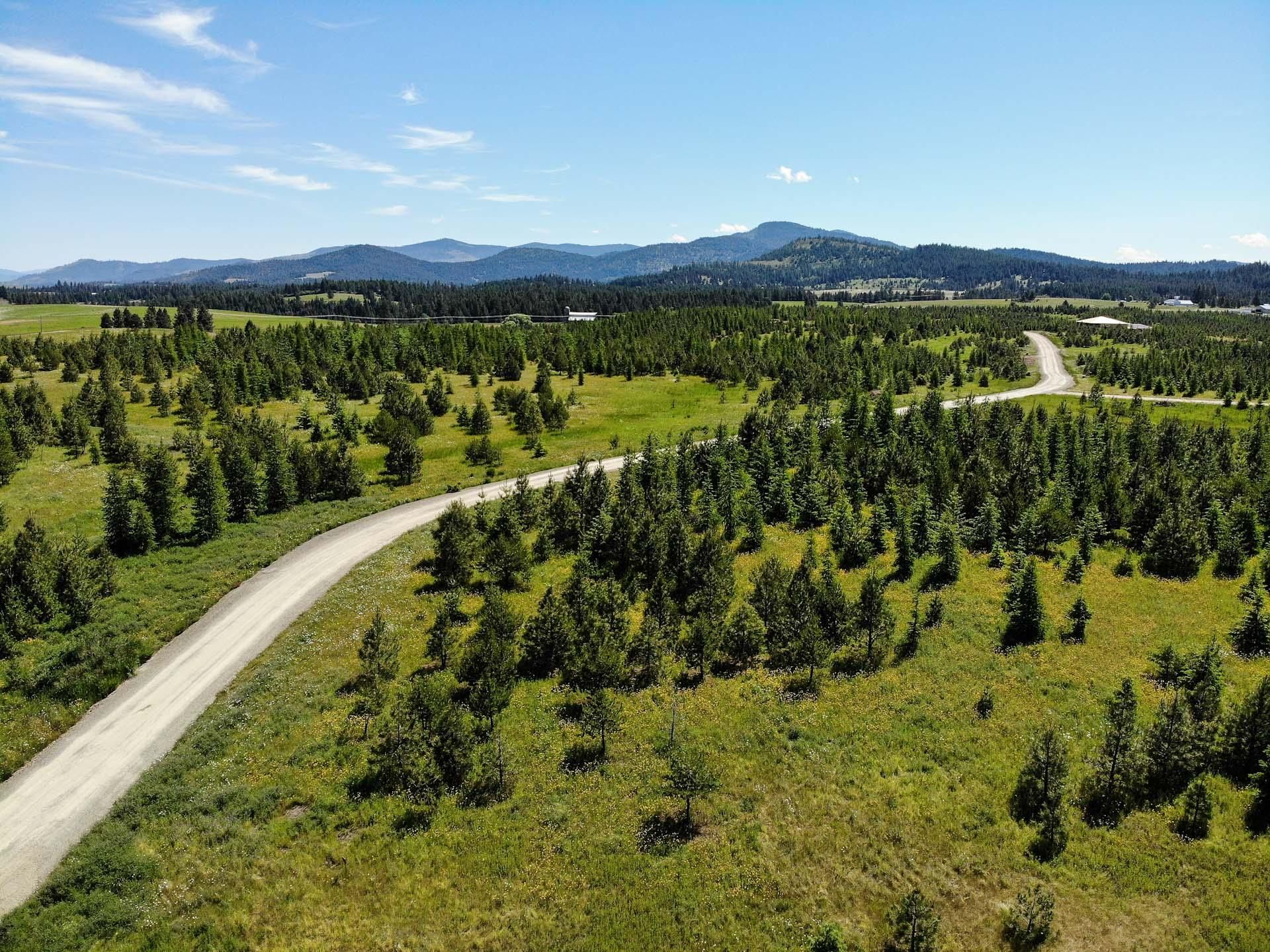 South Hawthorne Drive, Harrison, ID 83833 | Land.com
