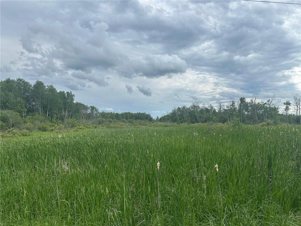 Tbd County Line Road, Aldrich, MN 56434 | MLS: 6563747 | Land.com
