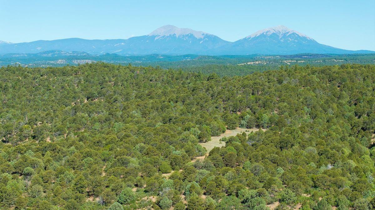 15536 Ponderosa Loop, Lot#WP001, Boncarbo, CO 81024 | Land.com