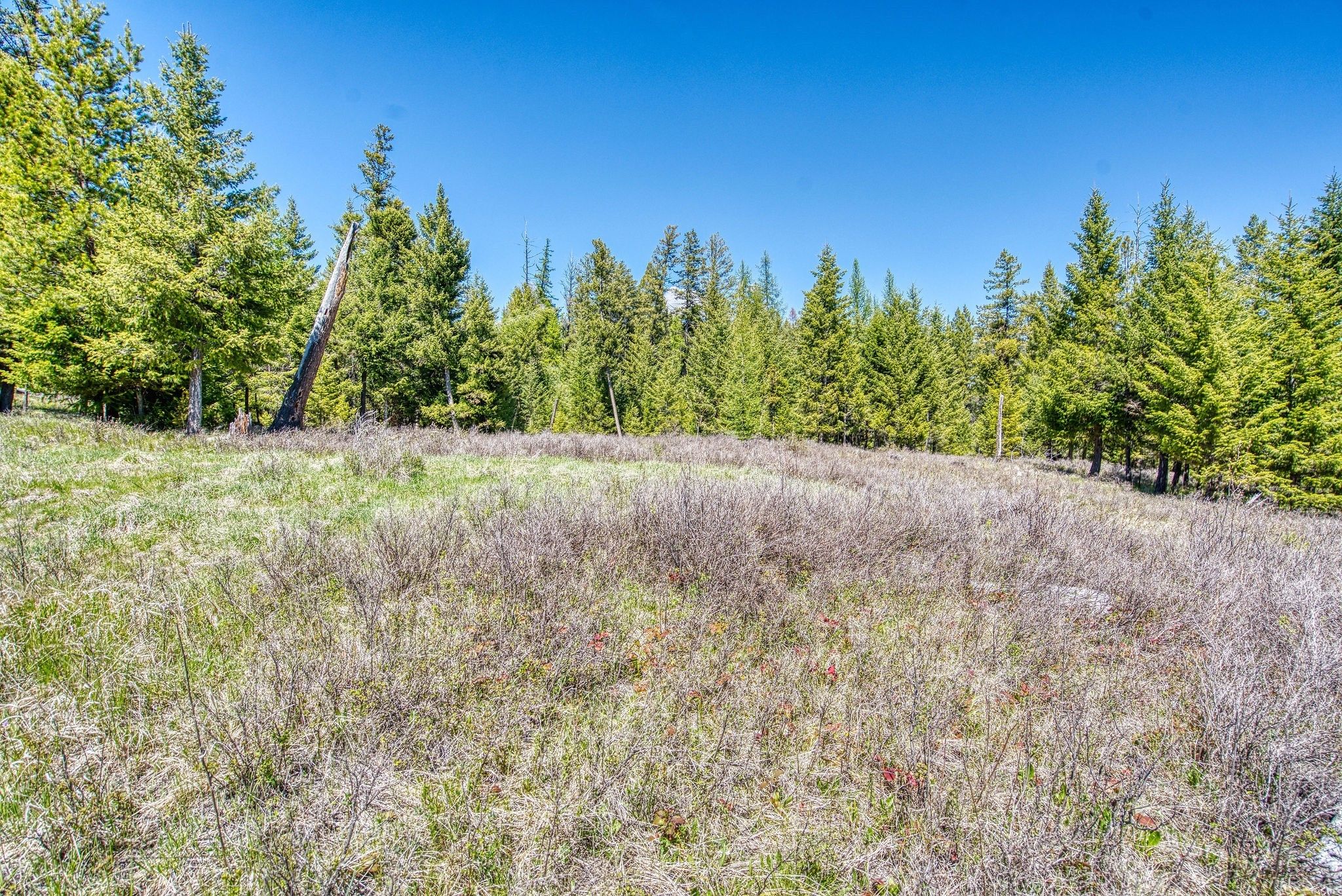 125 Conley Court, Kila, MT 59920 | MLS: 30029845 | Land.com