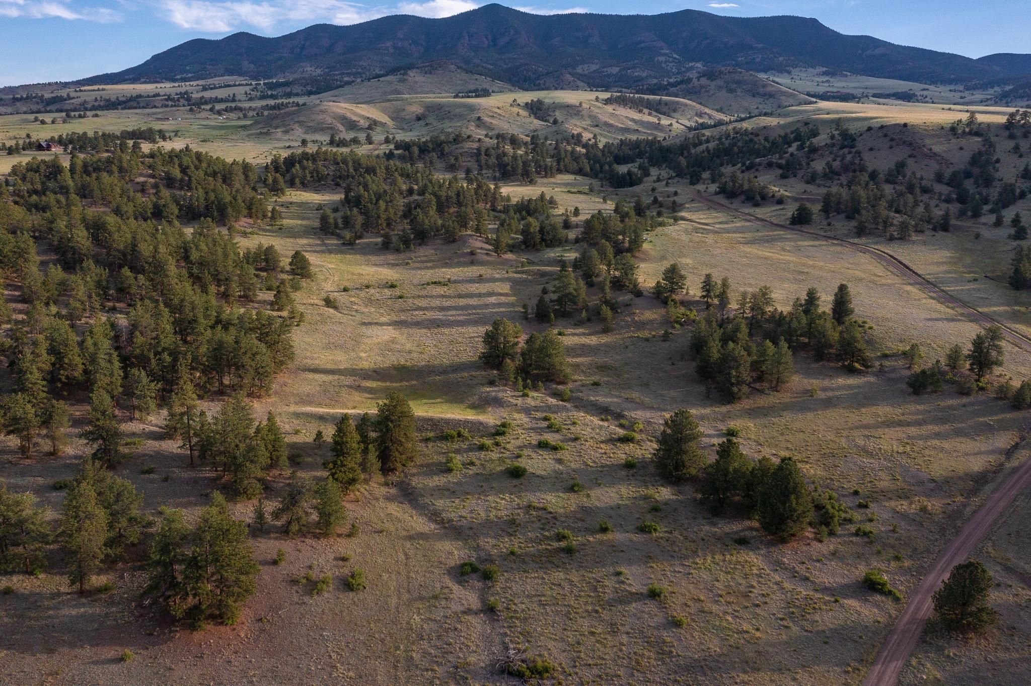 Big Buck Rd, Guffey, CO 80820 | Land.com