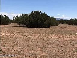 Lot 84 Juniperwood Ranch, Ash Fork, AZ 86320 | MLS: 1065870 | Land.com