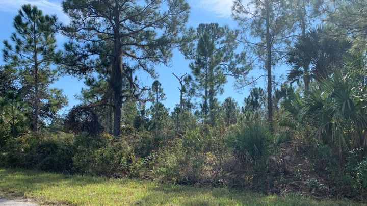 NE 153rd Ave, Fort McCoy, FL 32134 | Land.com