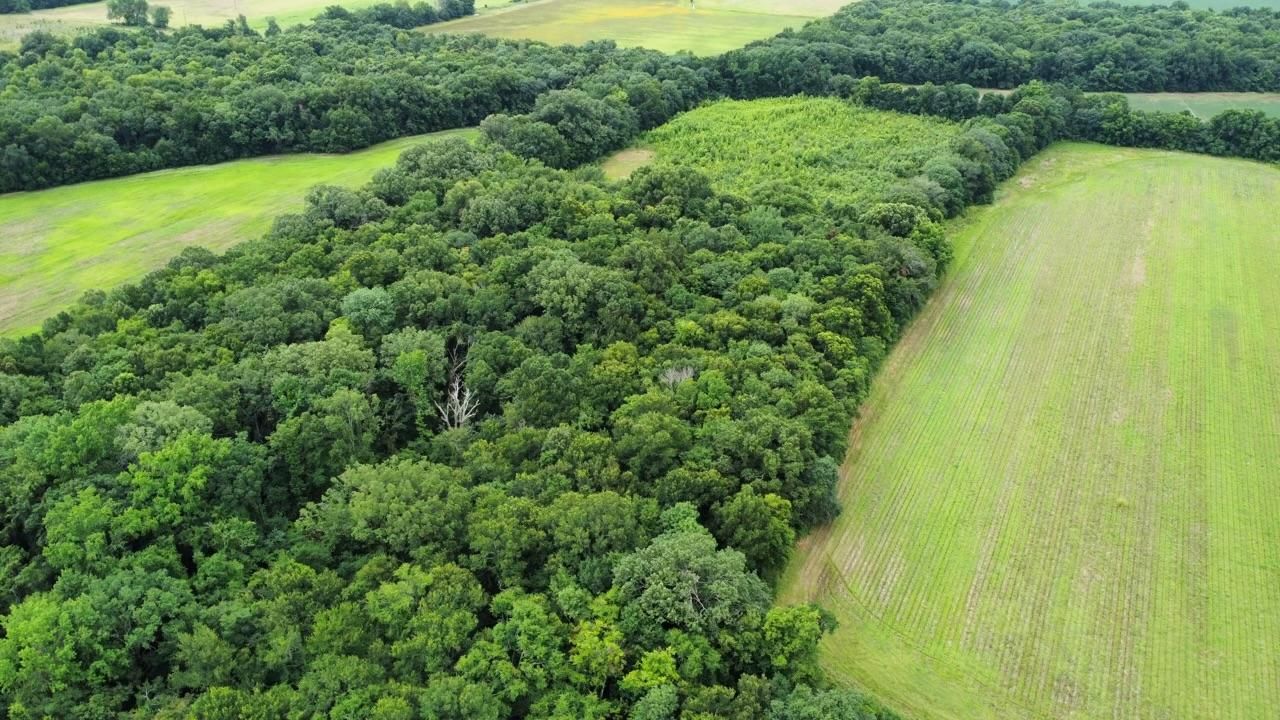 Gin Road, Cotton Plant, AR 72036 | Land.com
