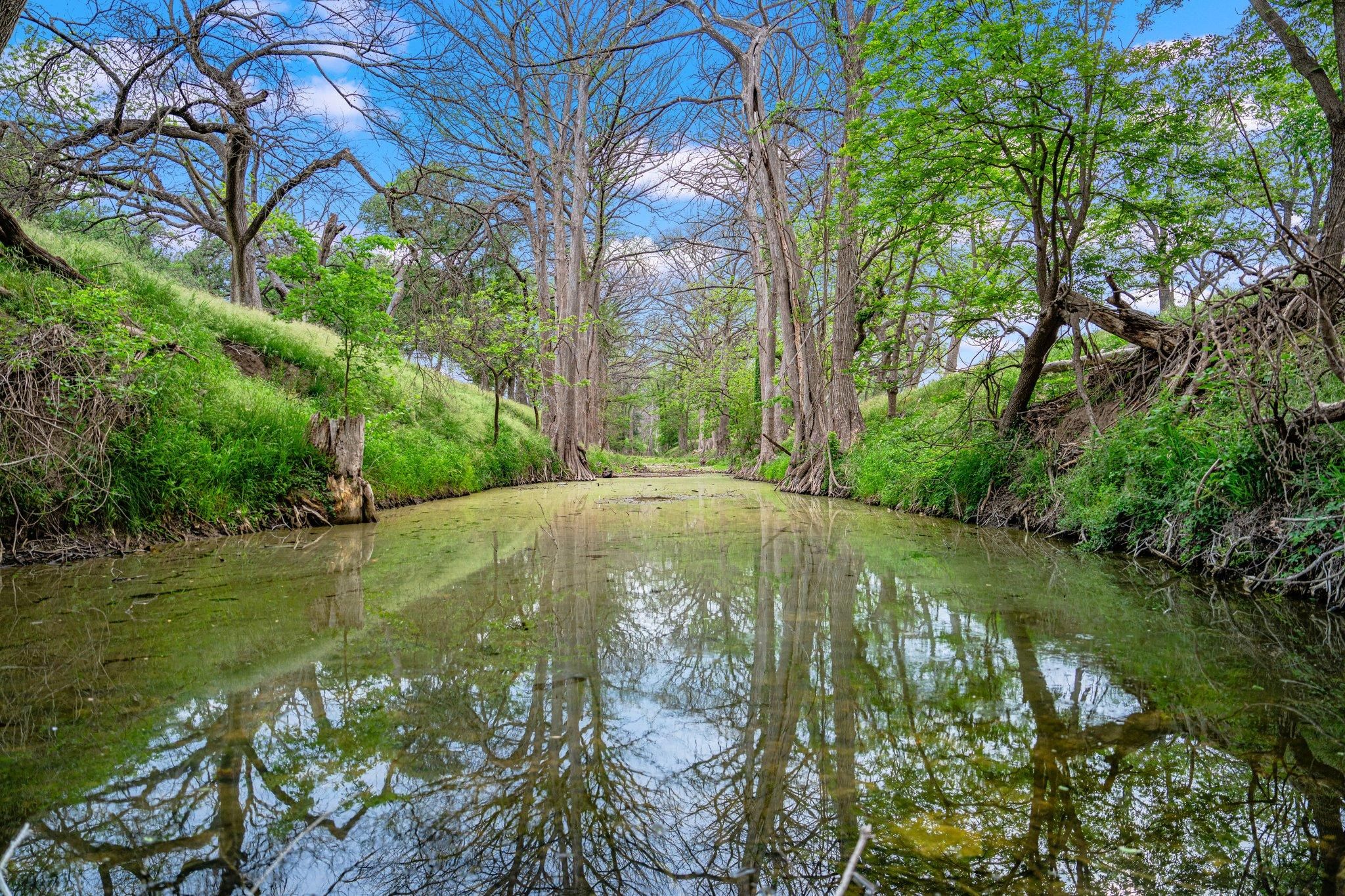 165 Center Point Drive, Center Point, TX 78010 | MLS: 114779 | Land.com