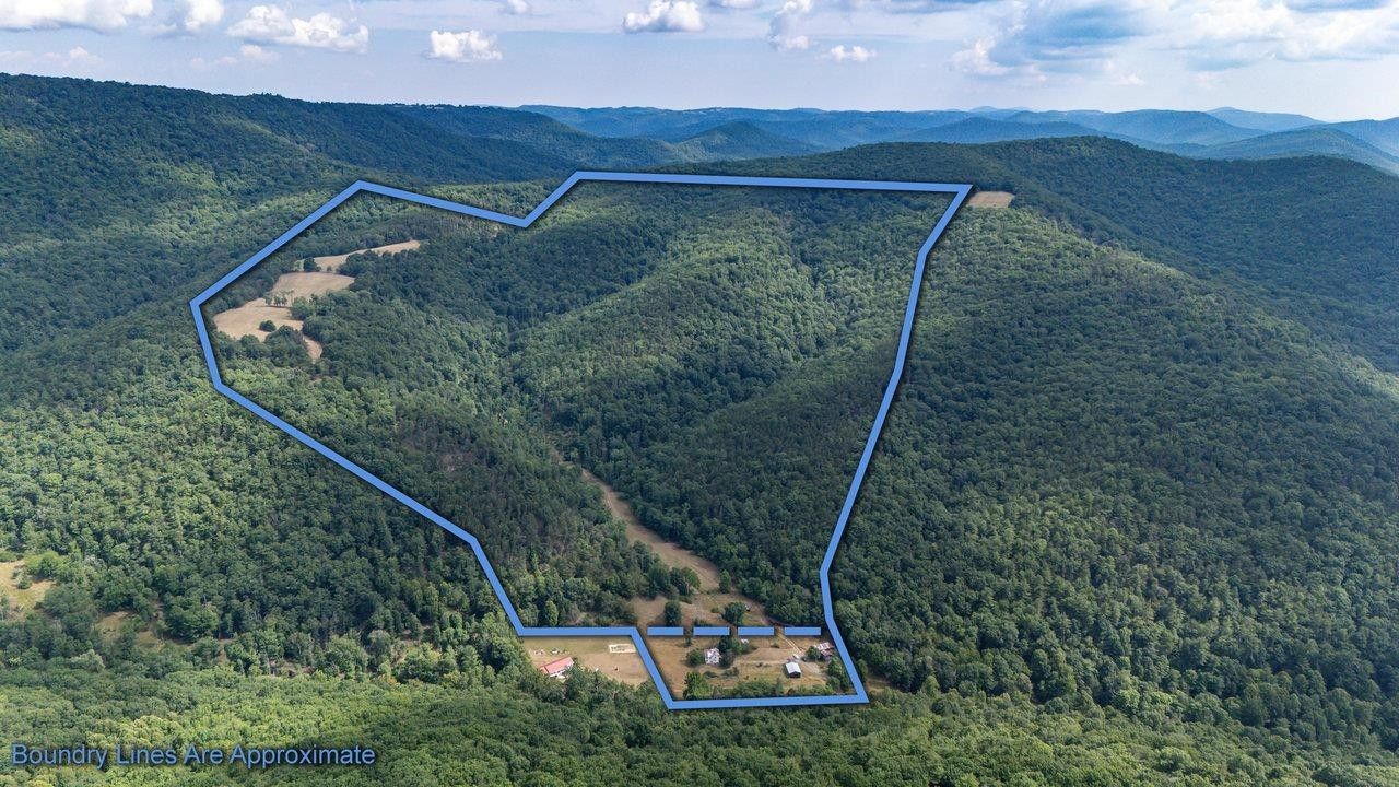 22590 CRIDERS RD, Criders, VA 22820 | MLS: 654880 | Land.com