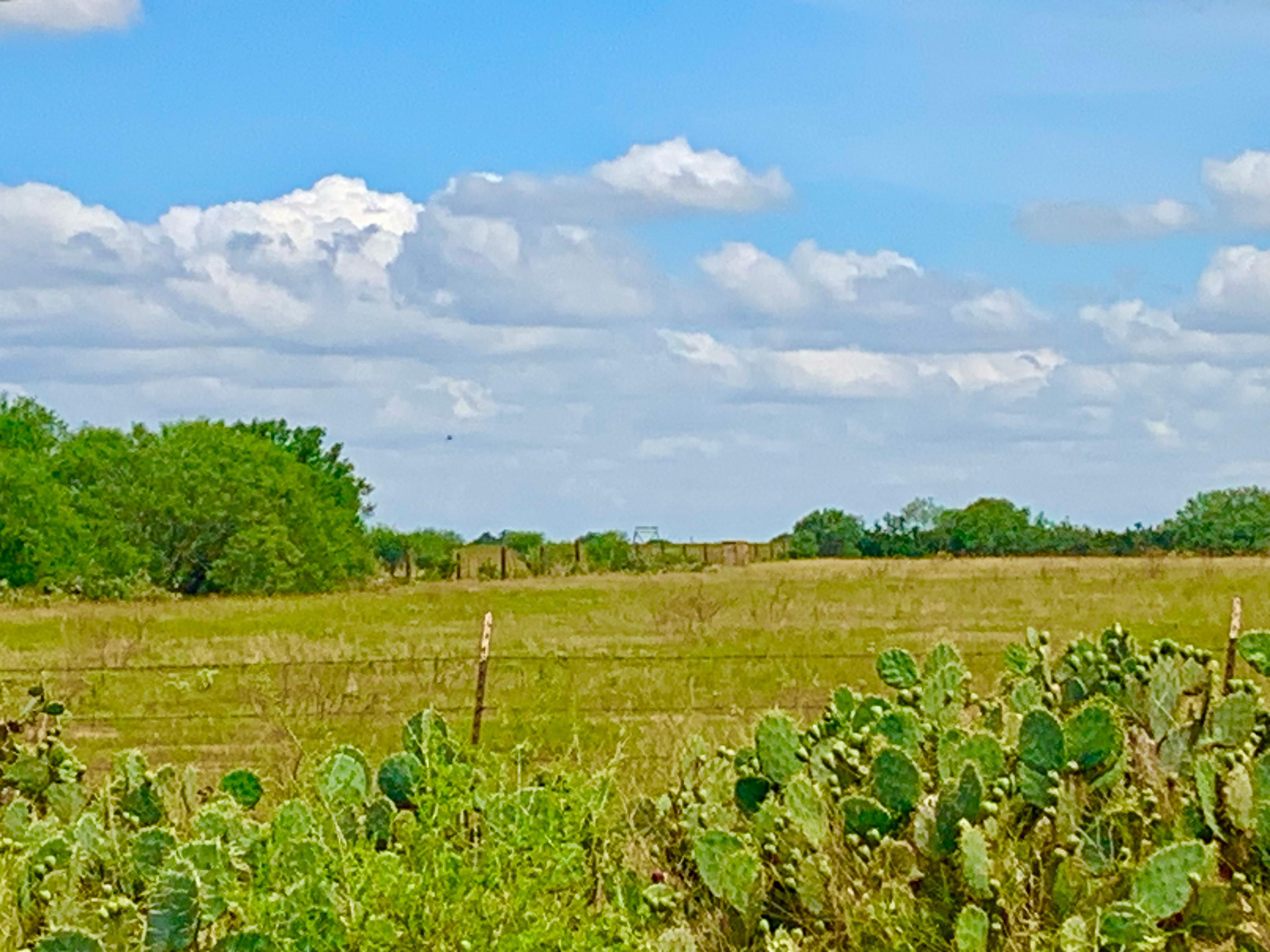 tbd Kotara Lane, Poth, TX 78114 | MLS: 1791120 | Land.com