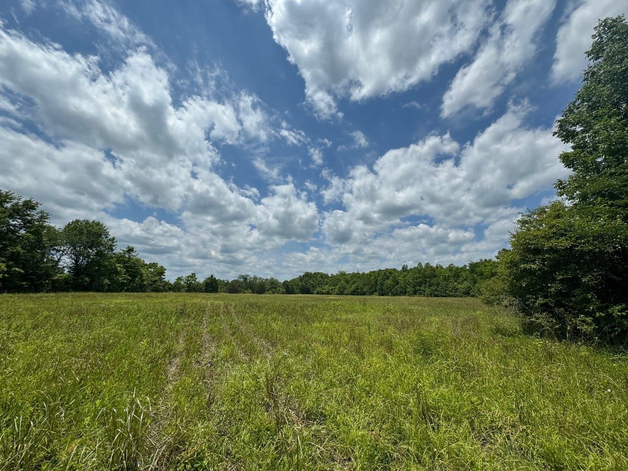 14 acres in Pike Road, AL, 36064 | Land.com
