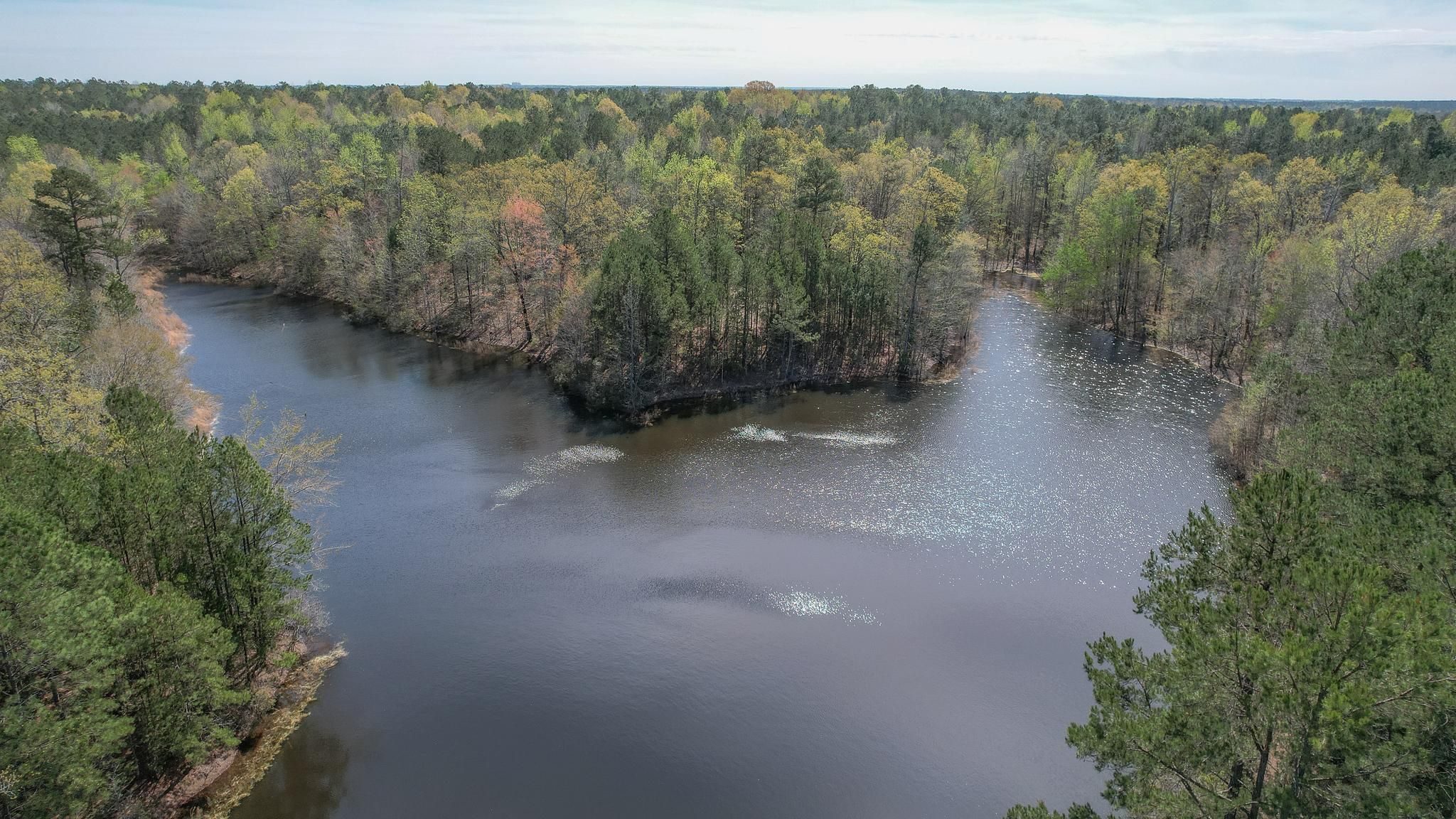 TBD CR 108, Doddridge, AR 71834 | Land.com