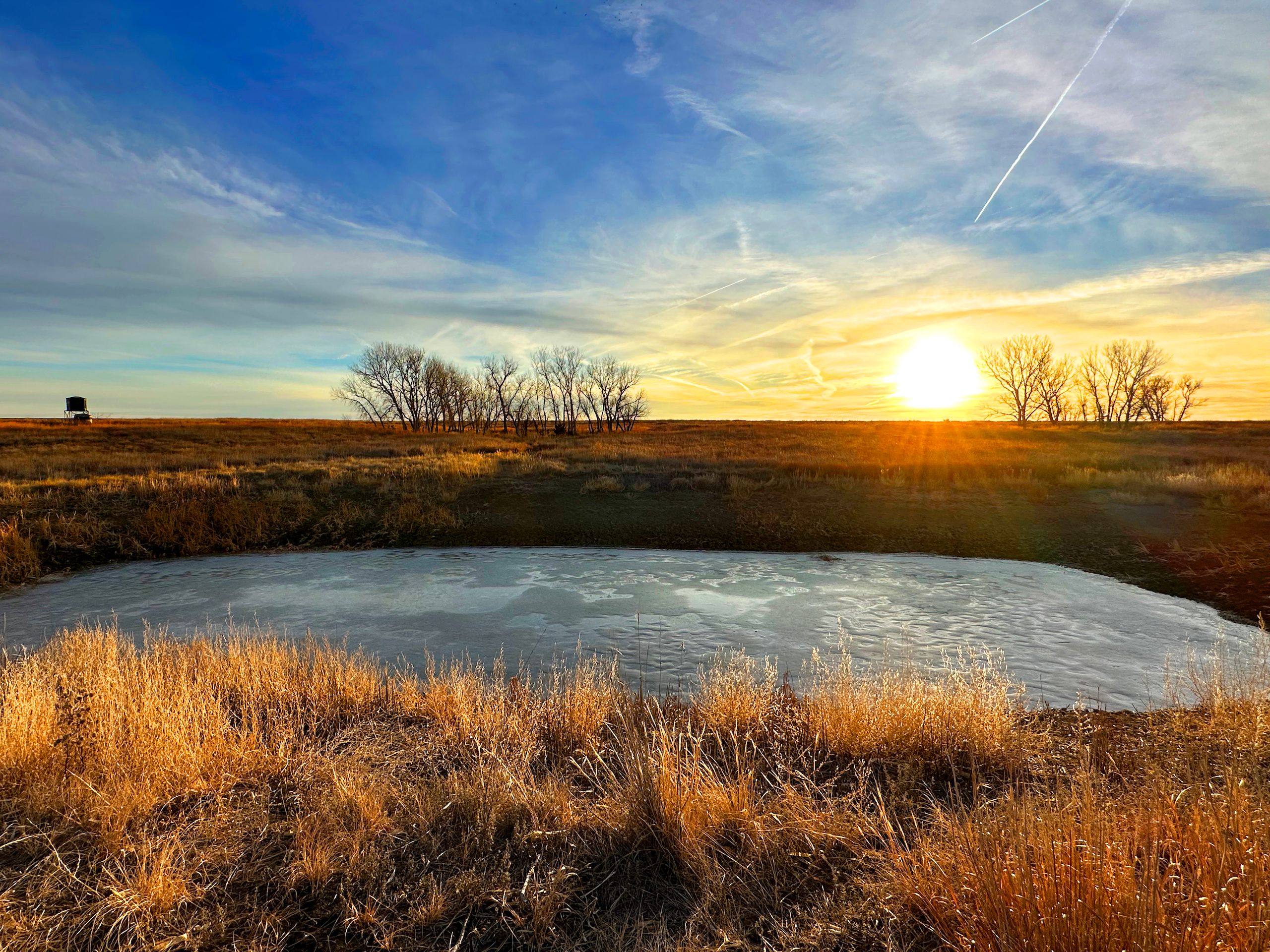 County Road 498, Lot#WP001, Bazine, KS 67516 | Land.com