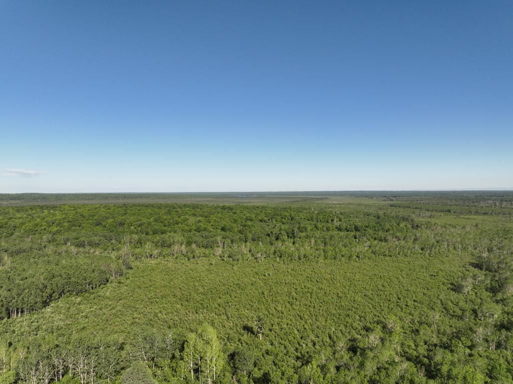 360 acres in Prentice, WI, 54556 | Land.com