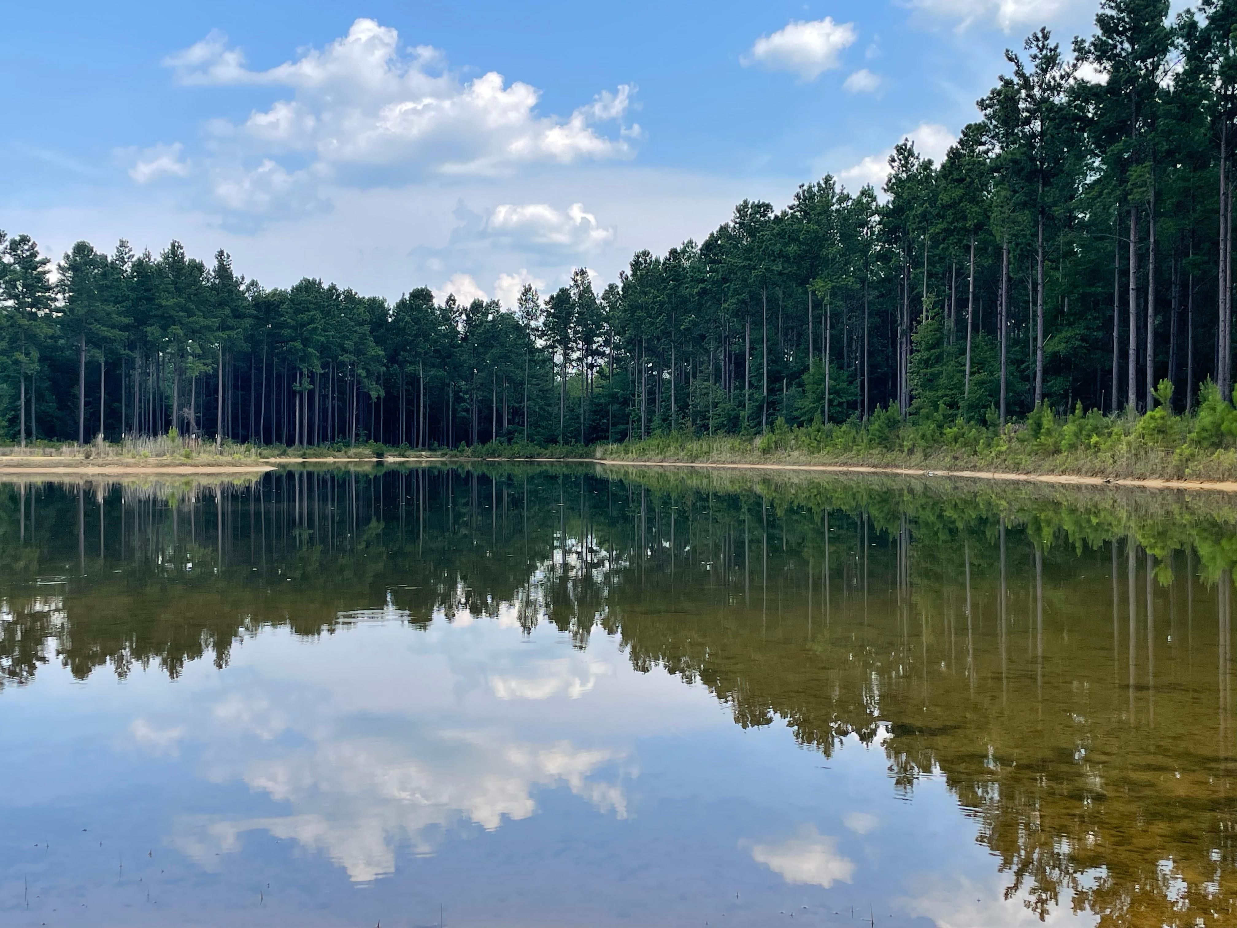 701-799 Spear Road, Leary, GA 39862 | Land.com