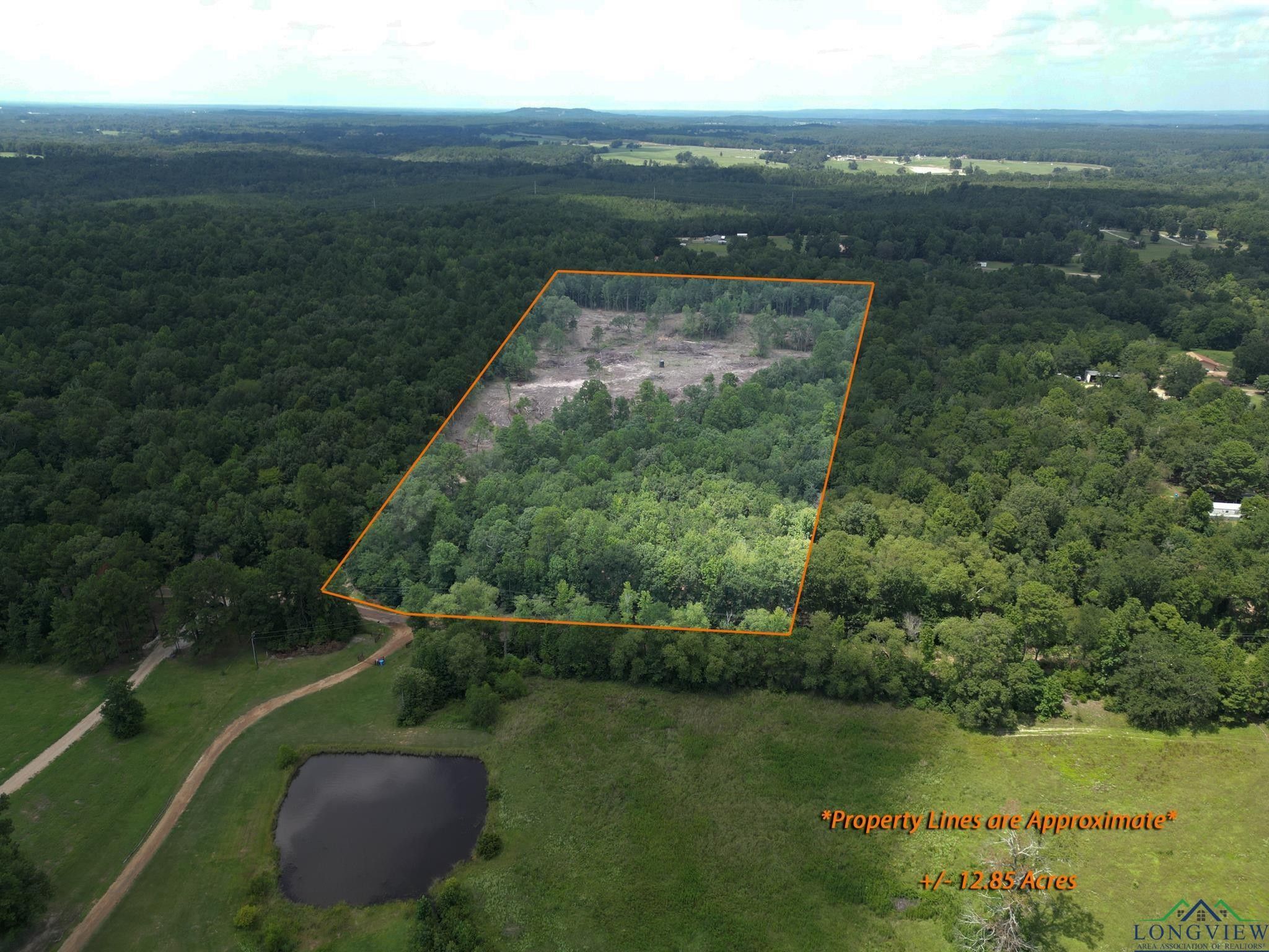 Tbd Flamingo RD, Gilmer, TX 75645 | MLS: 20244530 | Land.com