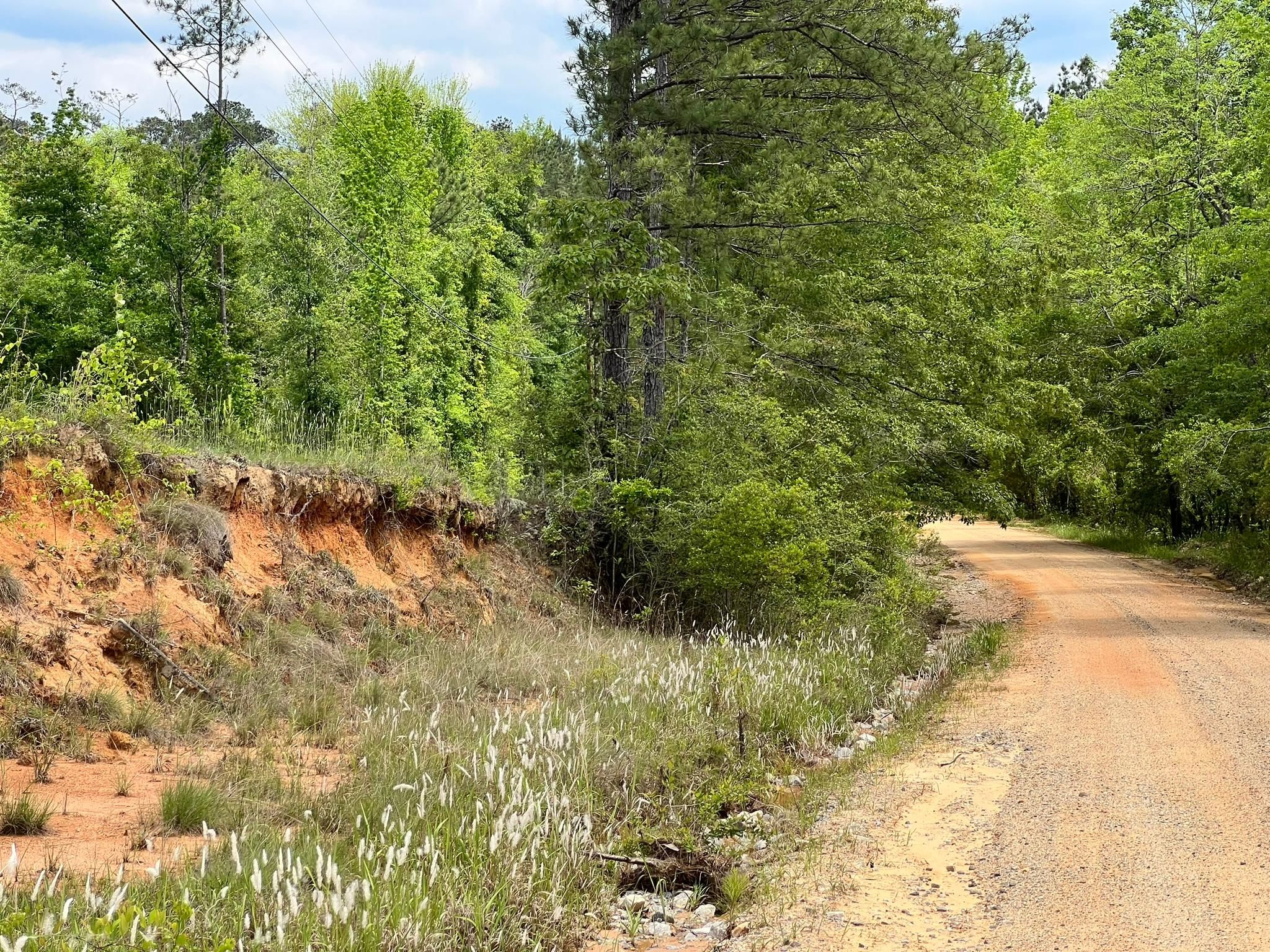 Pine Grove Road, Waynesboro, MS 39367 | Land.com