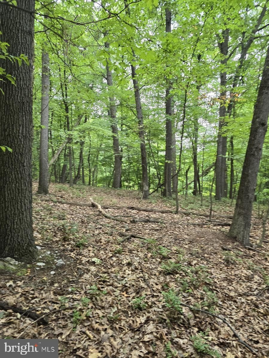 0 S MOUNTAIN ROAD, Dillsburg, PA 17019 | MLS: PAYK2060260 | Land.com