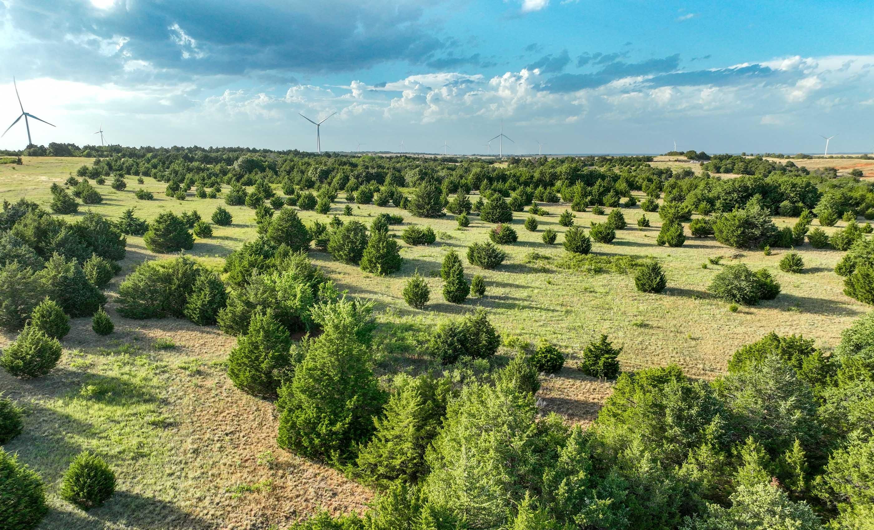 320 acres in Fay, OK, 73646 | Land.com