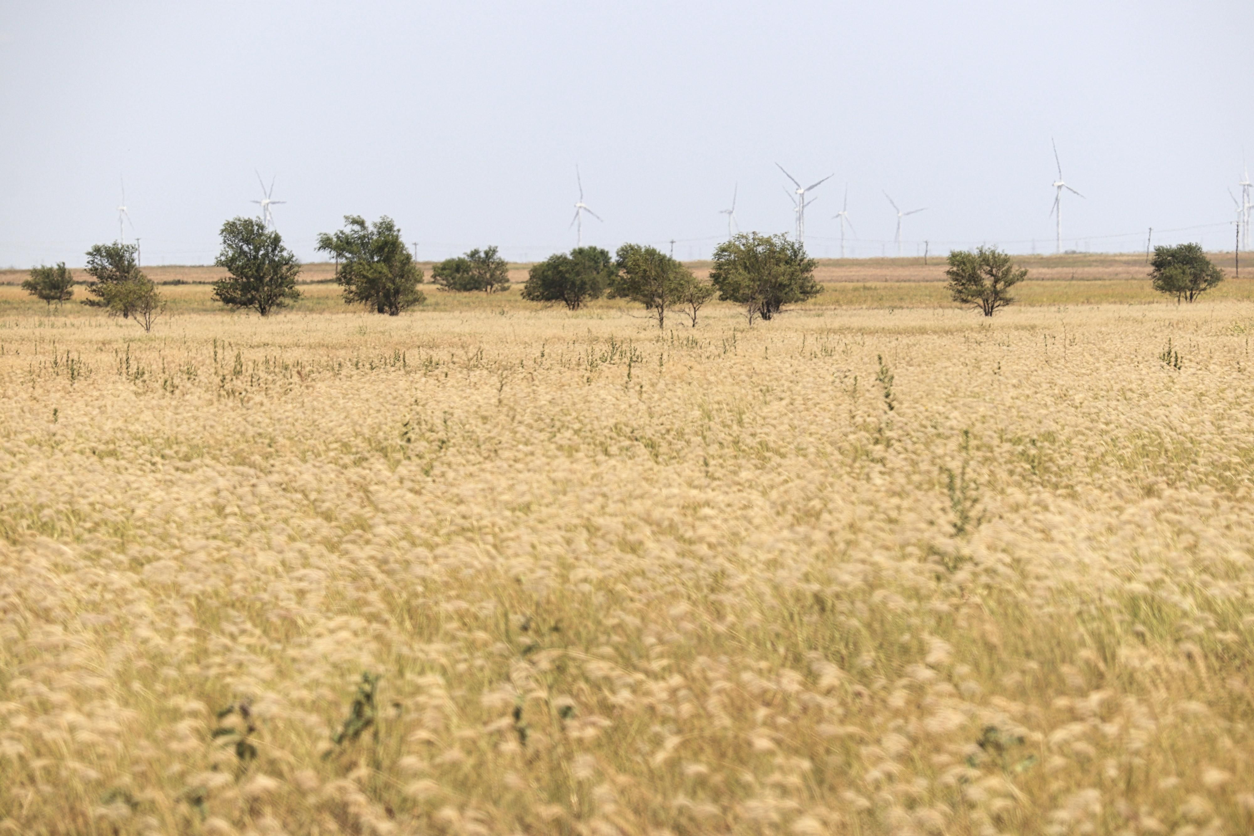 289 acres in Plainview, TX, 79072 | Land.com