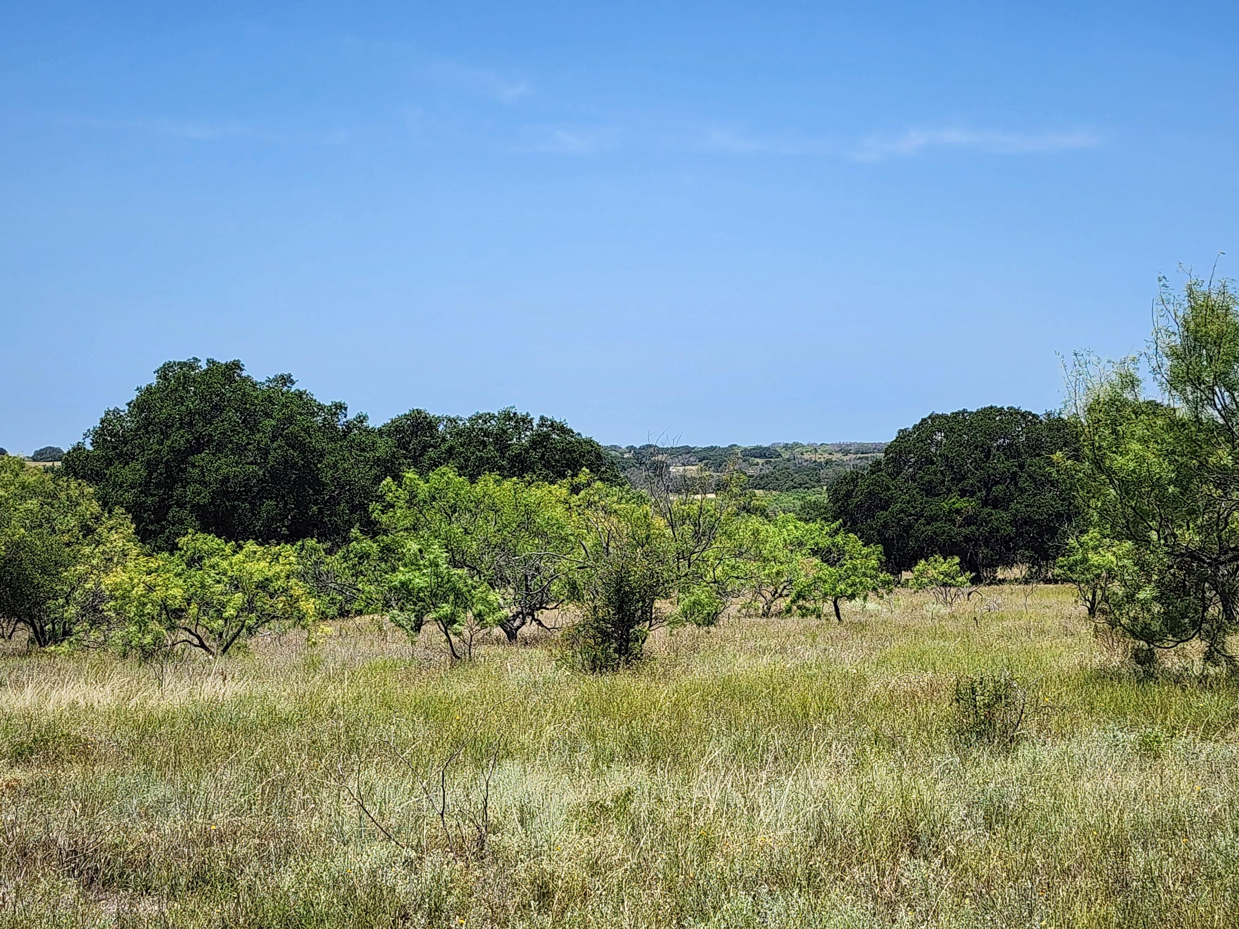 County Road 199, Mullin, TX 76864 | Land.com
