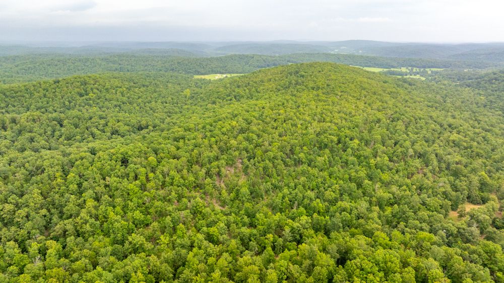 0000 County Road 448 Tract 1, Redford, MO 63665 | MLS: Reynolds 80 ...