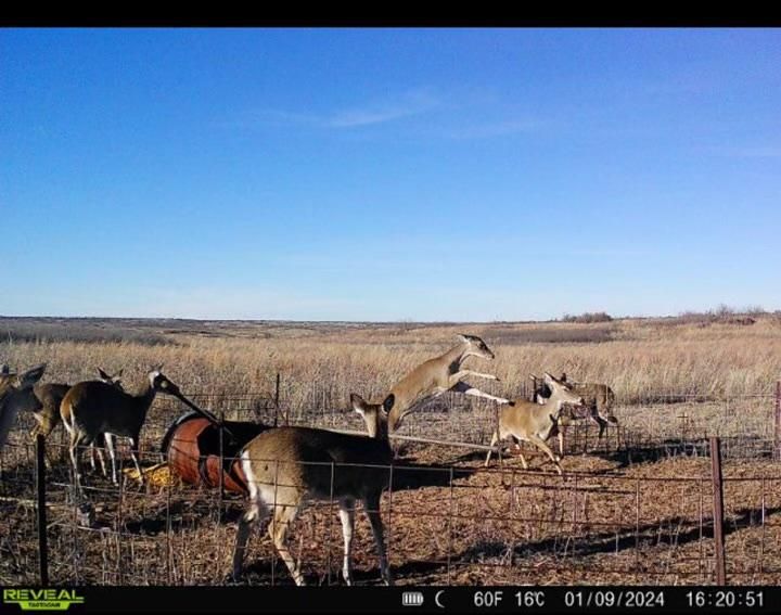 408 acres in Dickens, TX, 79229 | Land.com
