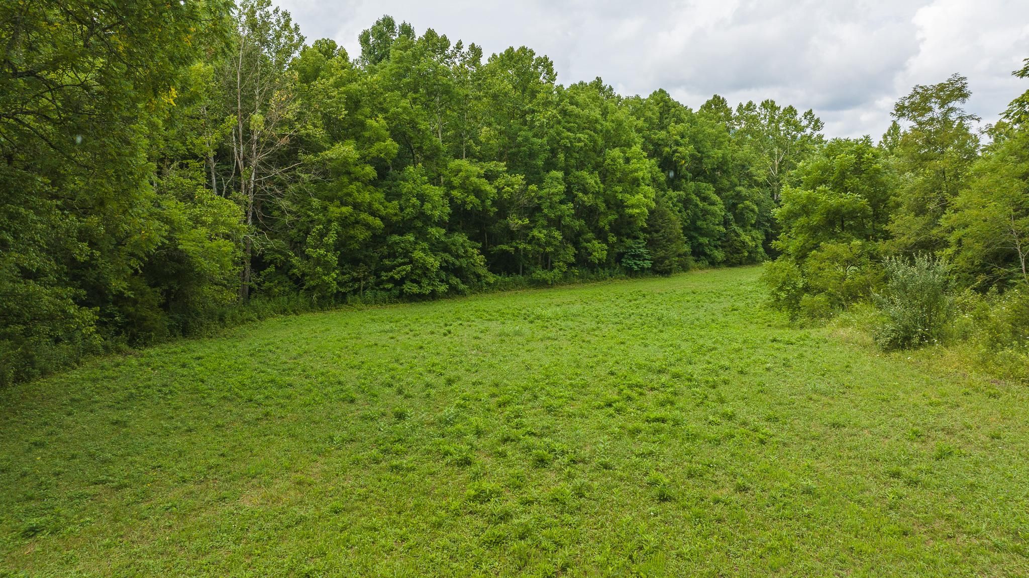 1 War Creek Road, Eidson, TN 37731 | MLS: 41095-04553 | Land.com