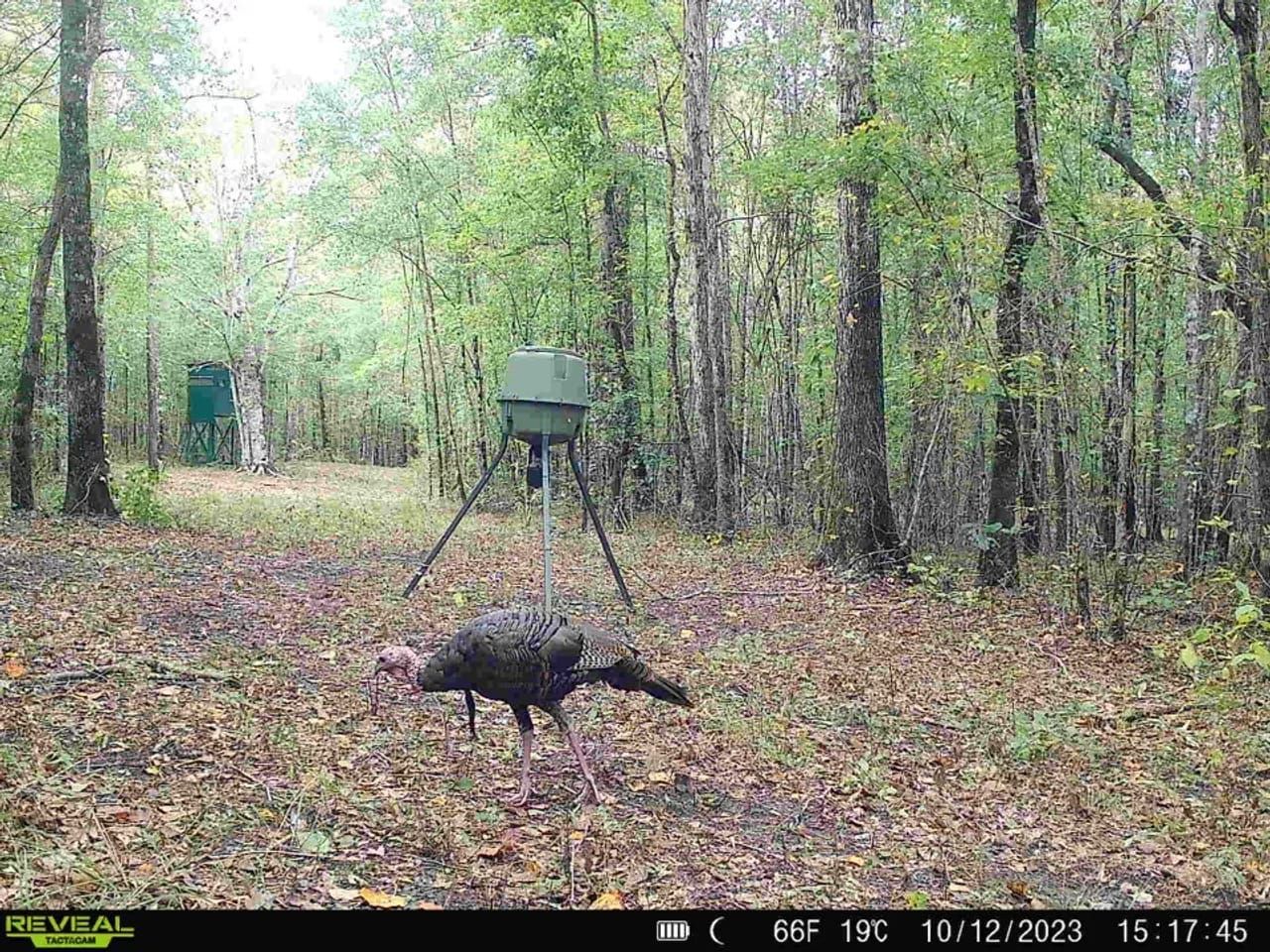 0 autauga County 131, Marbury, AL 36022 | Land.com