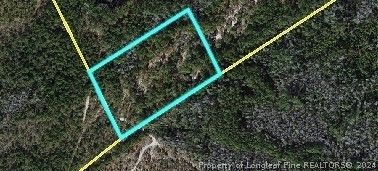 Natmore Road, Kelly, NC 28448 | MLS: 729735 | Land.com