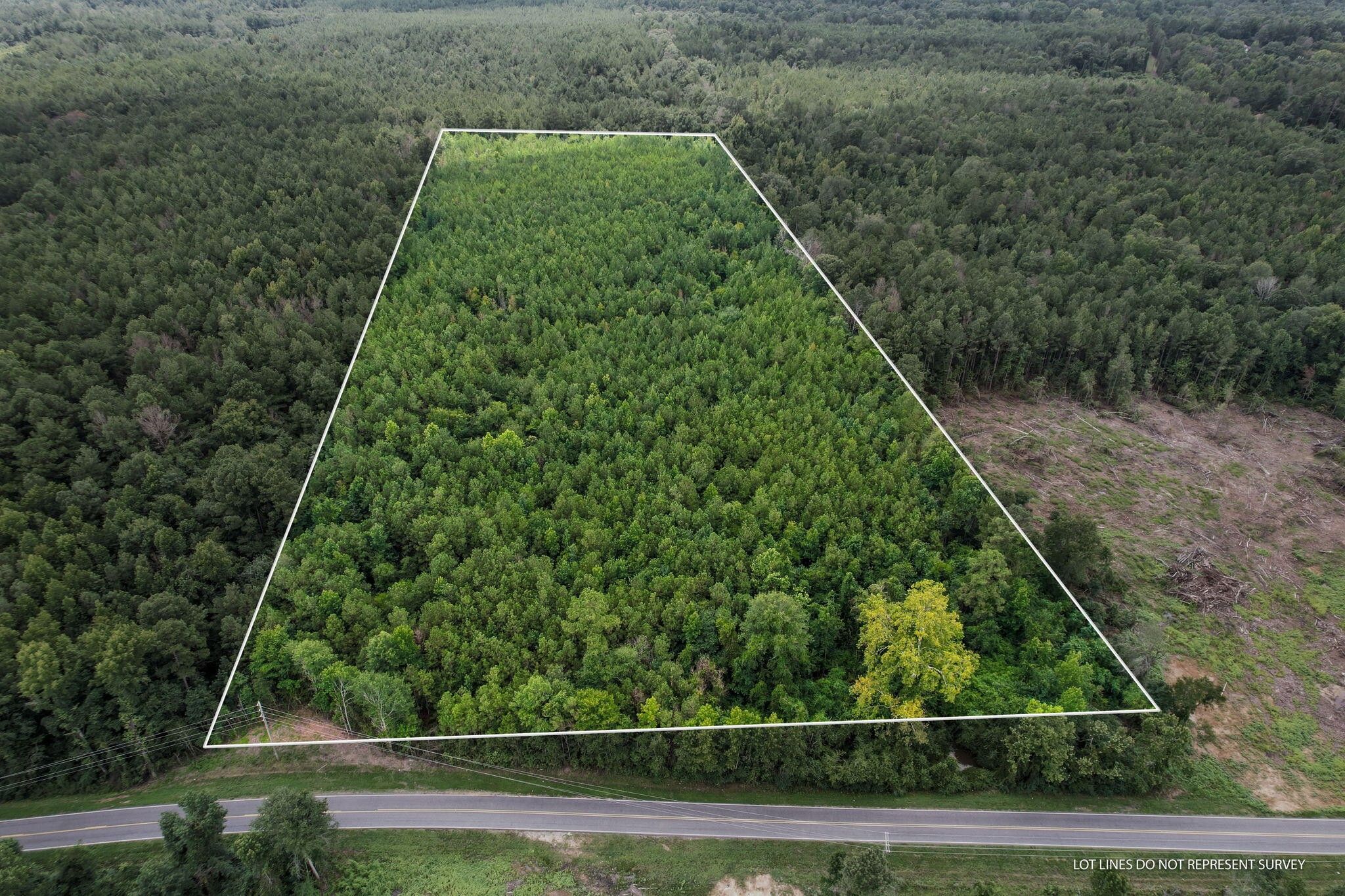 00 Shivers Rd., Pinola, MS 39149 | MLS: 139012 | Land.com