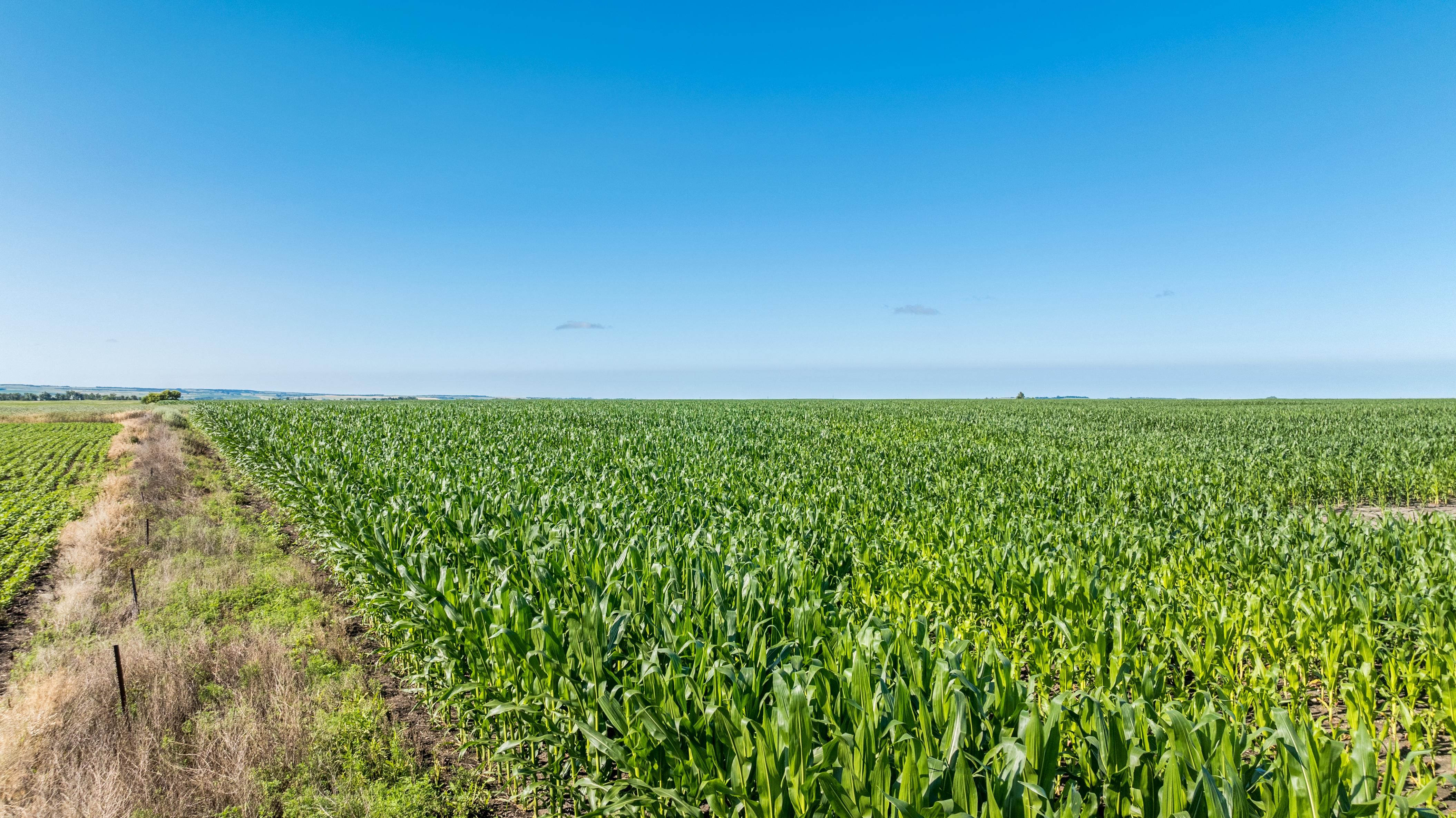 TBD 94th St SE, Rutland, ND 58067 | Land.com