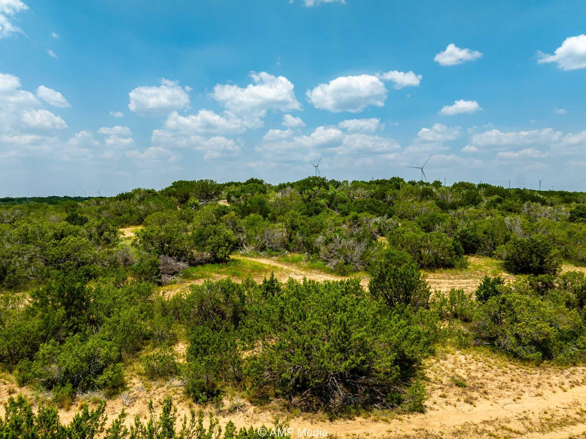 15310 U.S. 277, Wingate, TX 79566 | Land.com