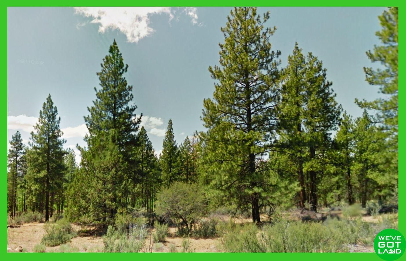 120 acres in Bonanza, OR, 97623 | MLS: R456223 | Land.com