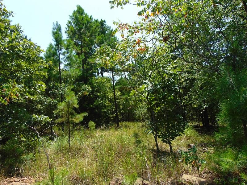 18.14 acres in Wister, OK, 74966 | Land.com