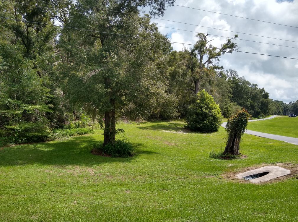 W Main St, Mayo, FL 32066 | Land.com