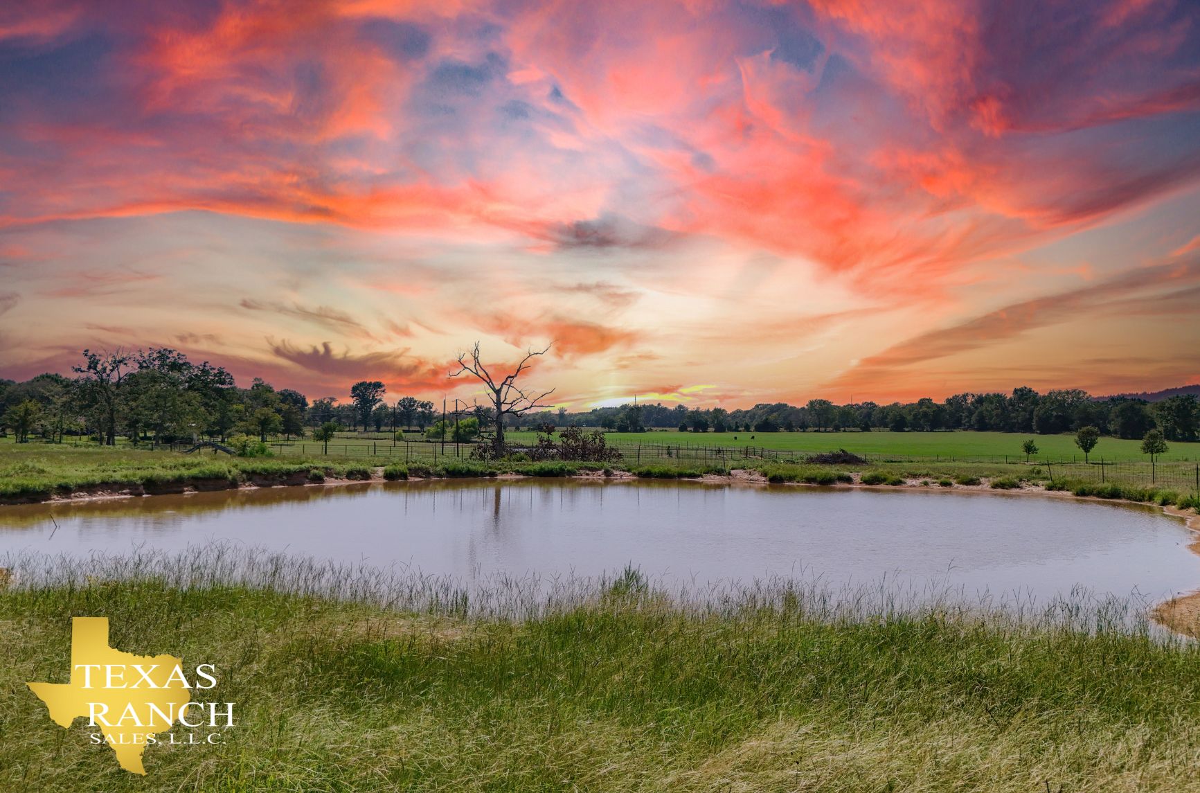 147 acres in Ben Wheeler, TX, 75754 | Land.com