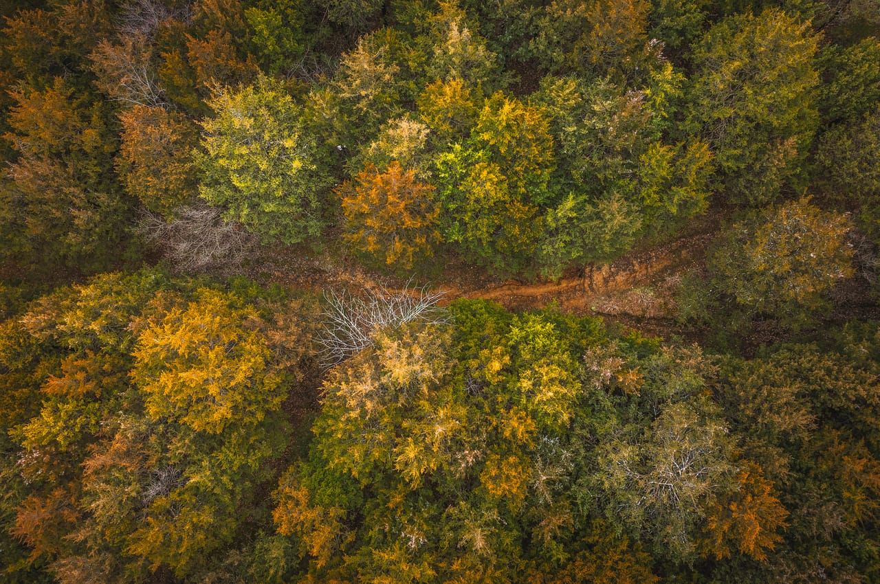 12432 Chilton Hills Dr, De Soto, MO 63020 | Land.com