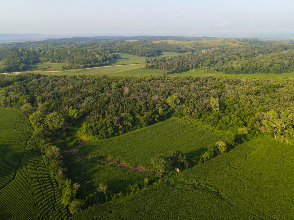 000 Nutmeg Avenue, Rodney, IA 51051 | MLS: Monona 35 | Land.com