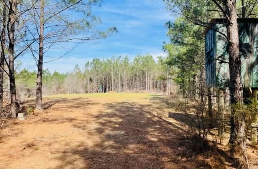 0 Grant Road, Vina, AL 35593 | Land.com