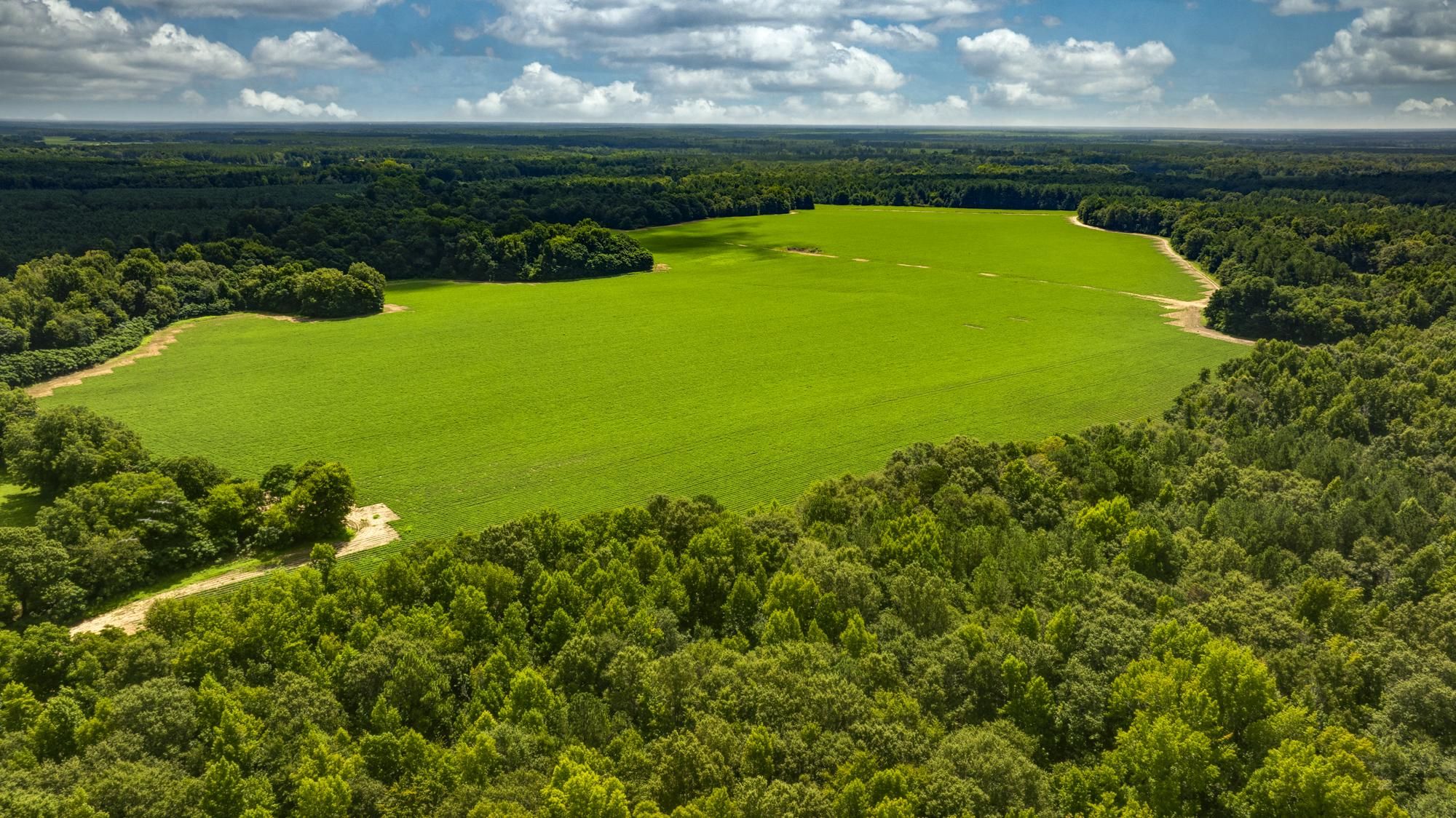 Davis Road, Davisboro, GA 31018 | Land.com