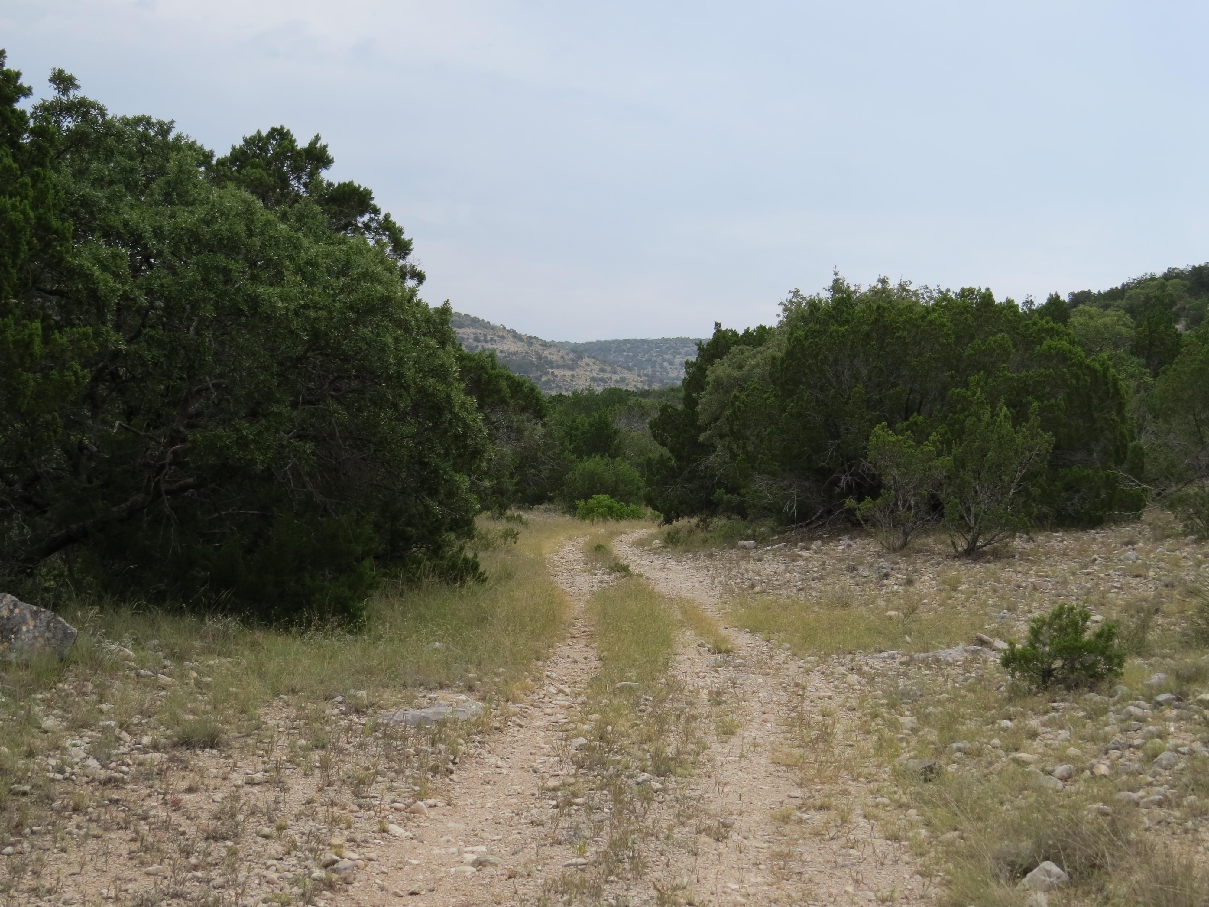 Texas 189, Juno, TX 76950 | MLS: HLRS 24 | Land.com