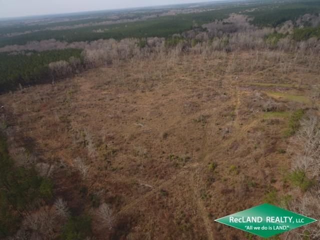 Chester Road, Grayson, LA 71435 | Land.com