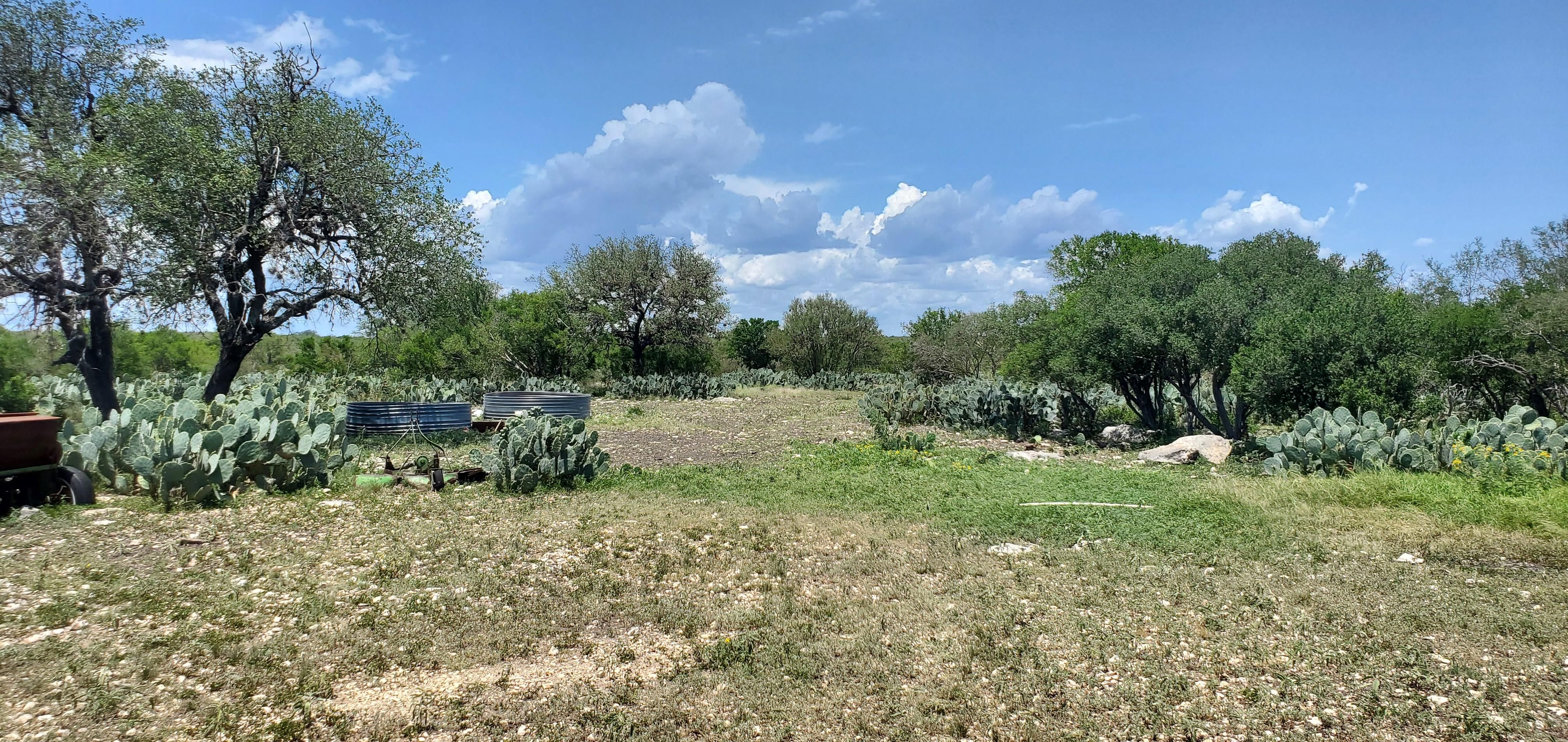 1860 Rocky Ridge Road, Uvalde, TX 78801 | Land.com