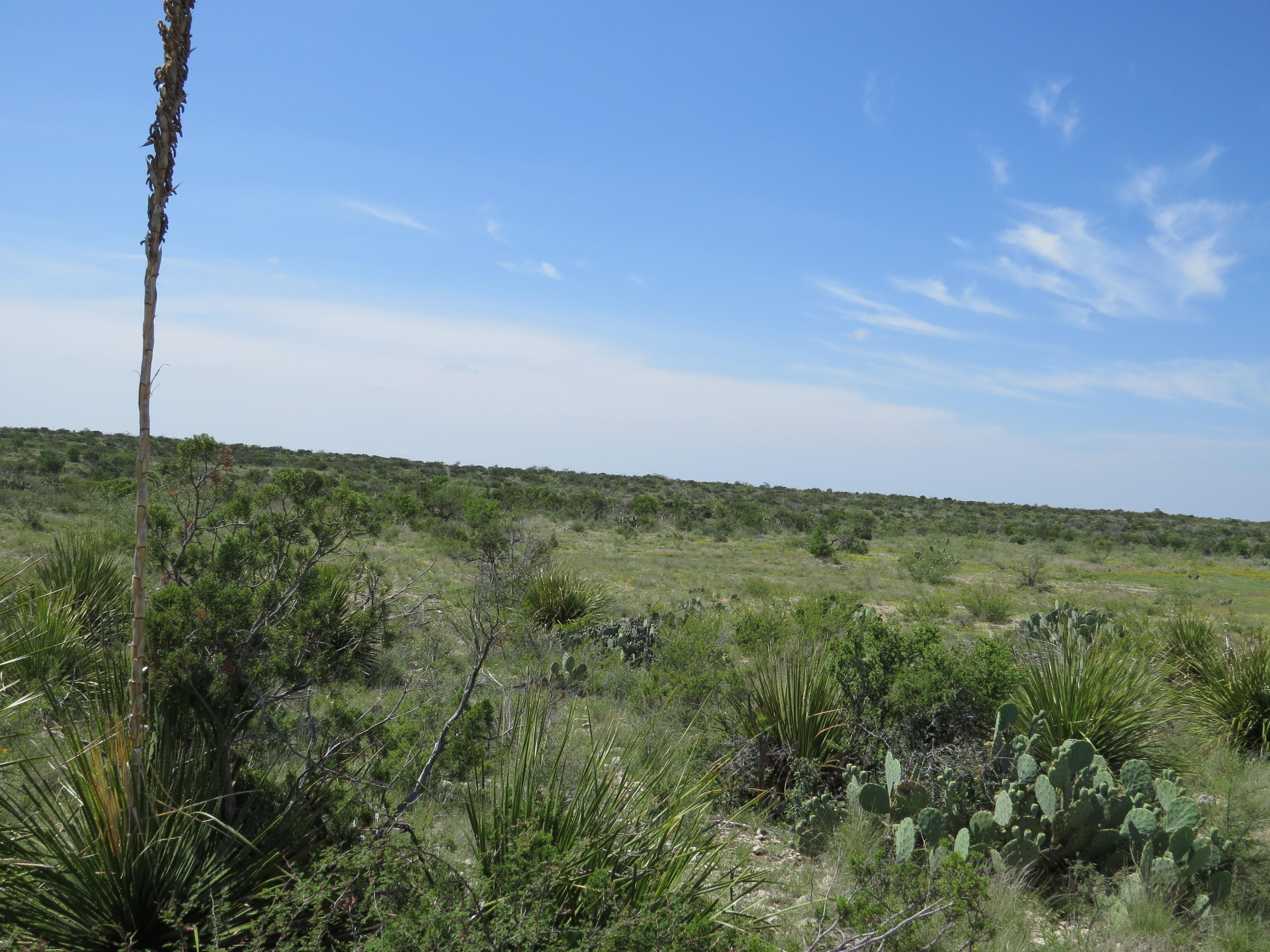 HWY 349, Sheffield, TX 79781 | MLS: SR 97 AC. | Land.com