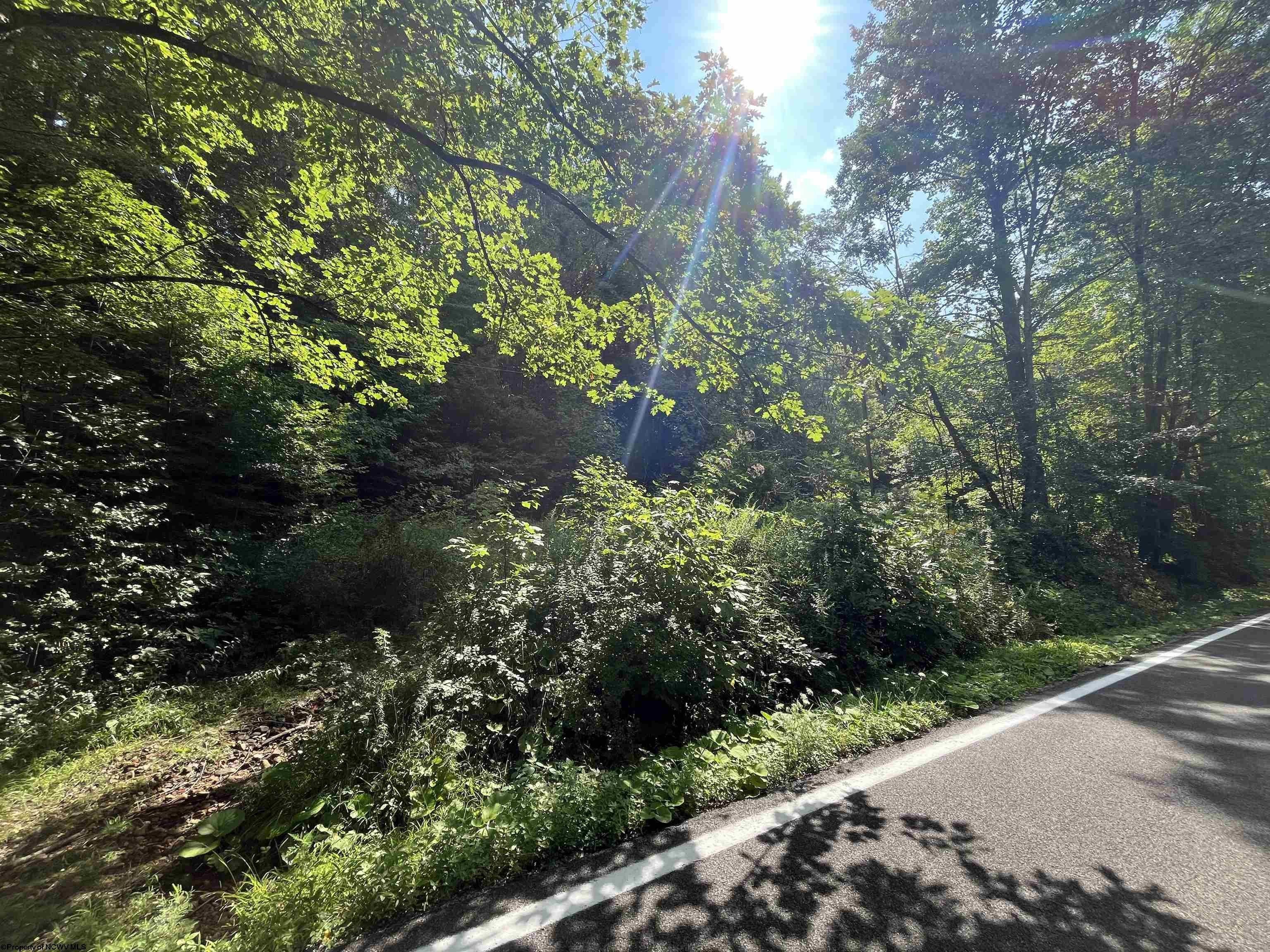 1511 Adolph Cassity Road, Mabie, WV 26280 | MLS: 10155633 | Land.com