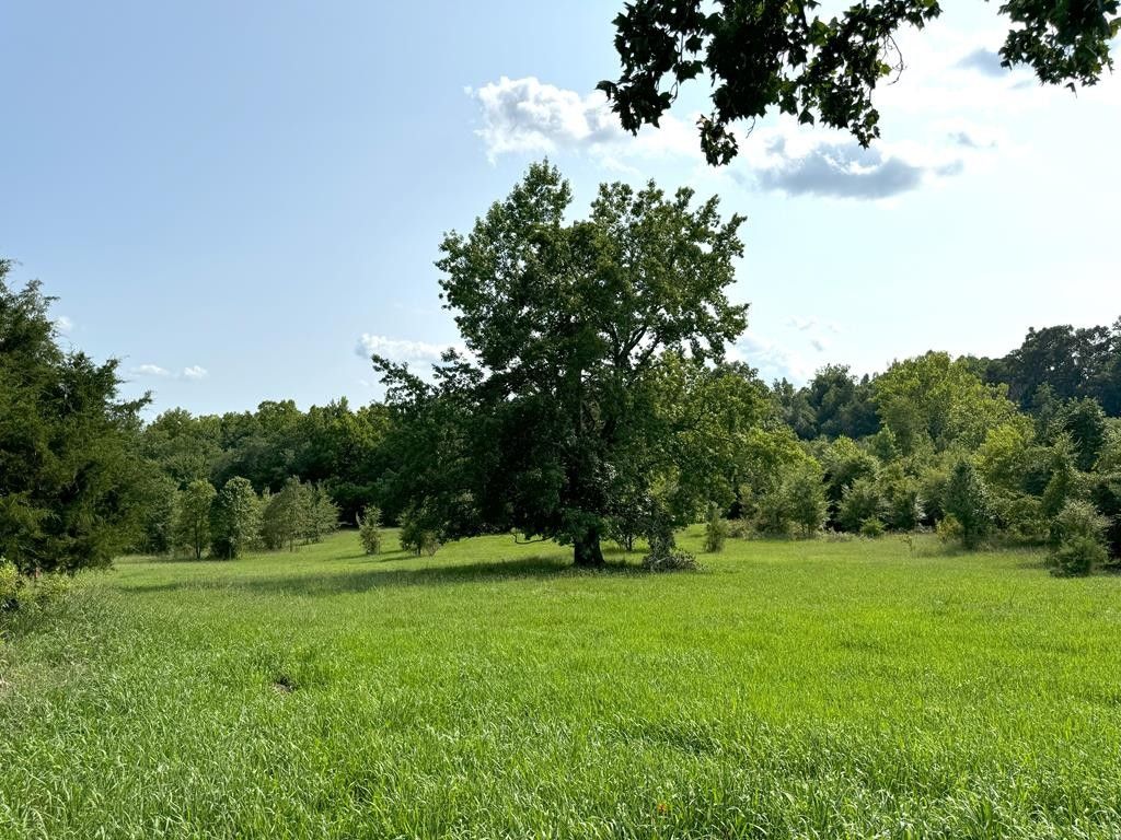 Fearstown Rd, Randolph, VA 23962 | MLS: 54130 | Land.com
