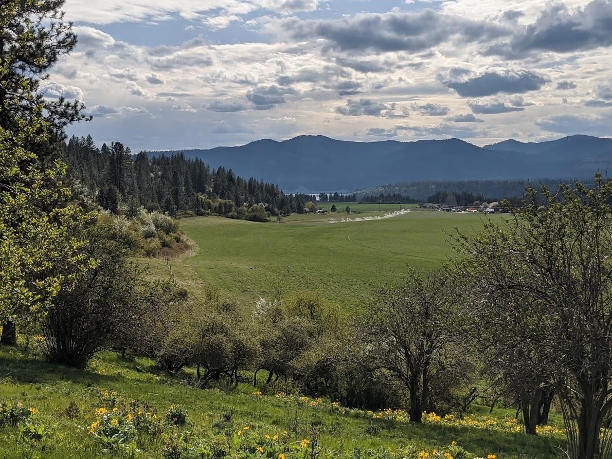 3703 Cedonia-Addy Rd, Hunters, WA 99137 | MLS: 202421115 | Land.com