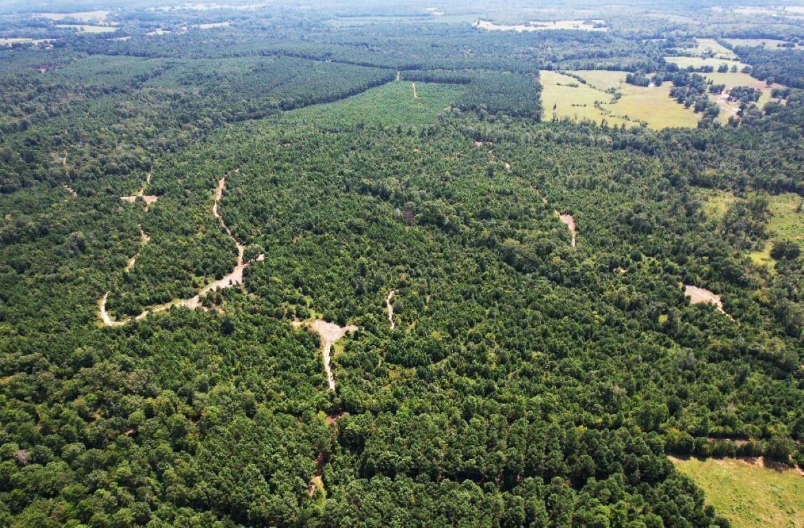 County Road 3163, Laneville, TX 75667 | Land.com