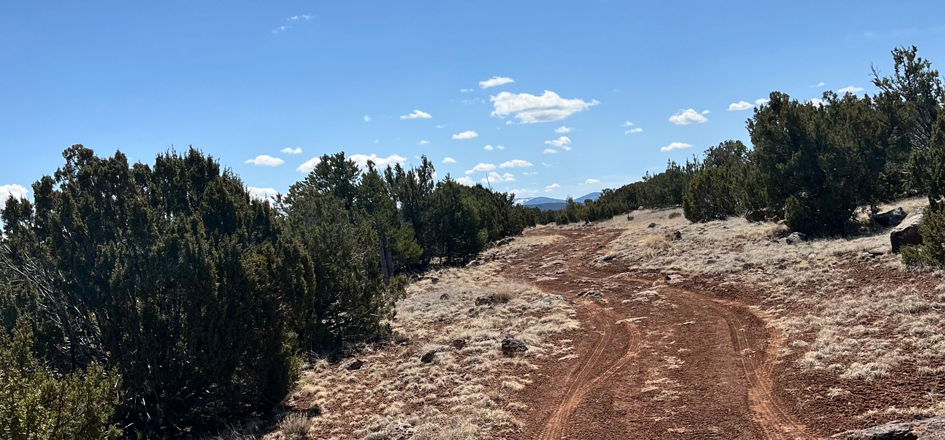 McQueene Drive, Concho, AZ 85924 | MLS: 107-56-017-P2 | Land.com