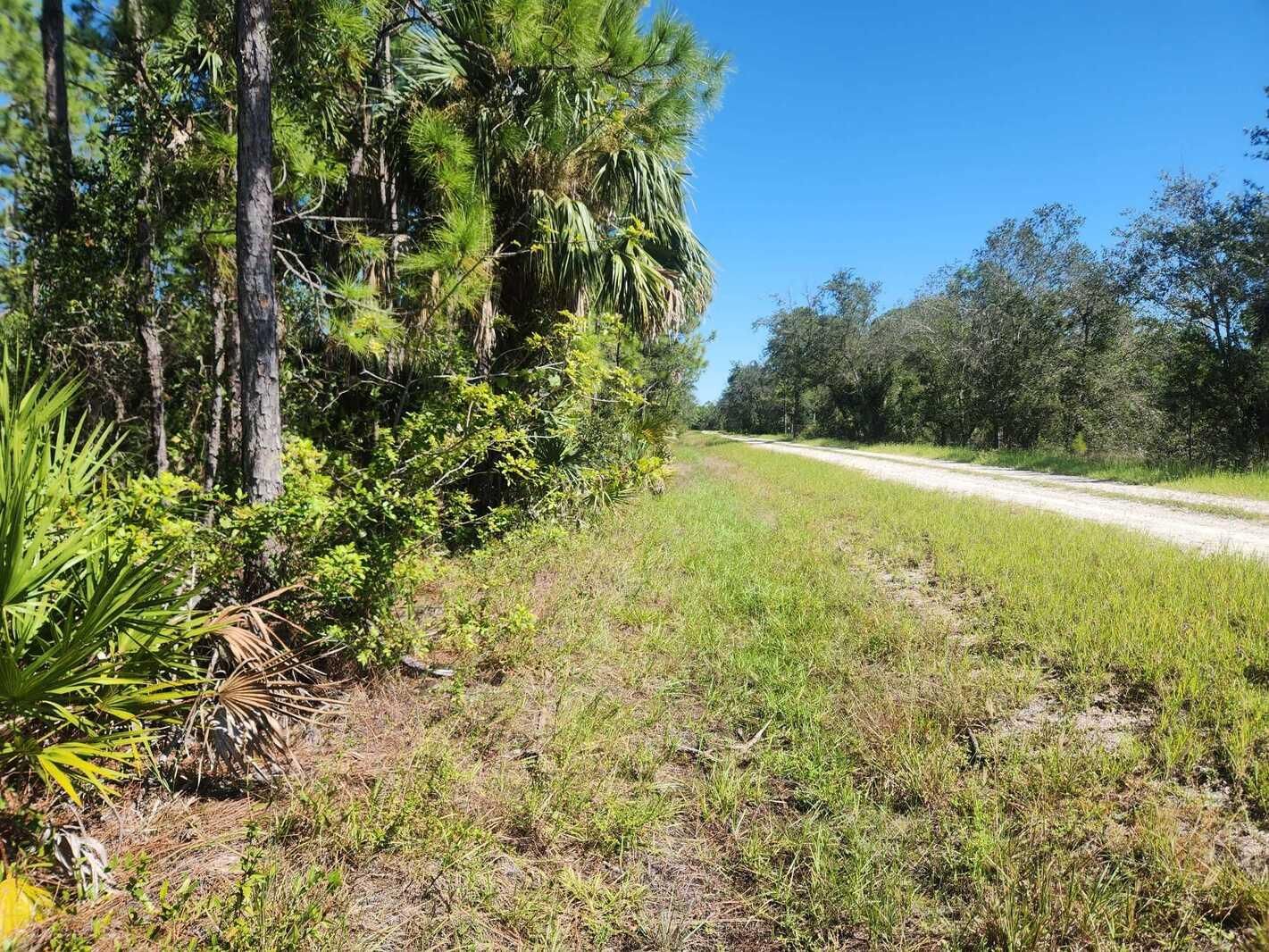 Badger Drive, Punta Gorda, FL 33955 | Land.com