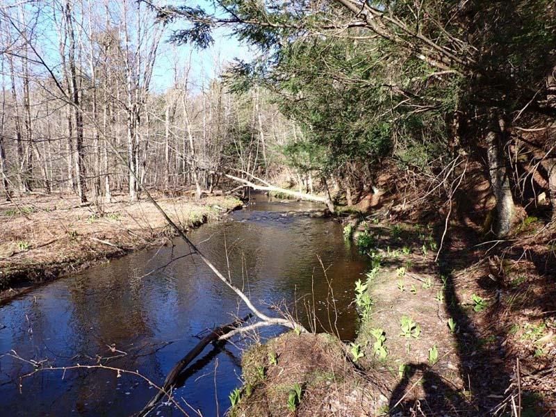 County Route 58, Colton, NY 13625 | Land.com