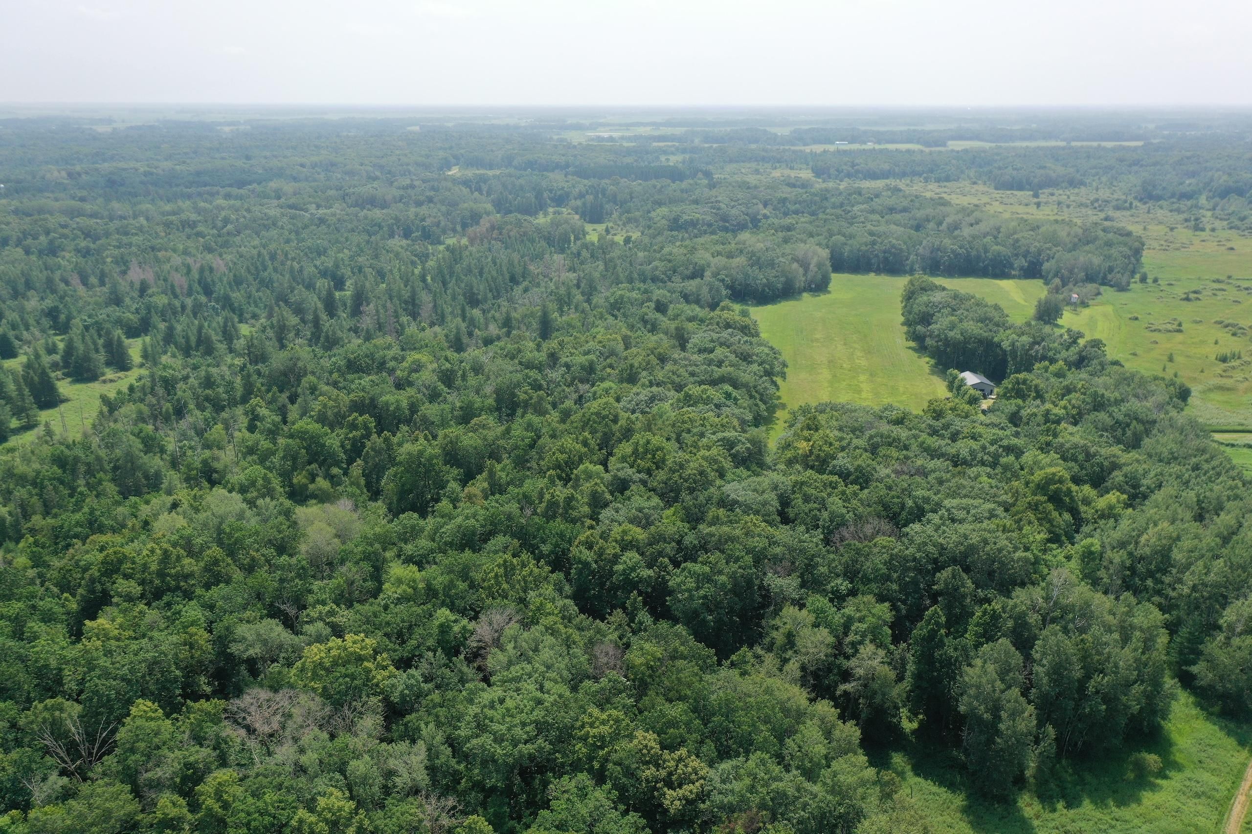 22116 County Highway 73, Hewitt, MN 56453 | Land.com